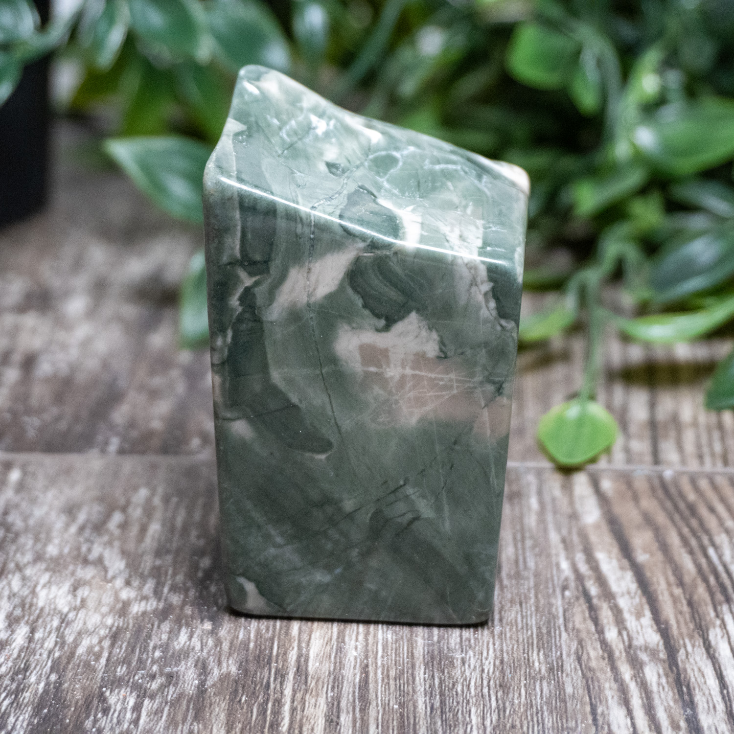 Nine Dragon Jade Polished #14 - The Crystal Council