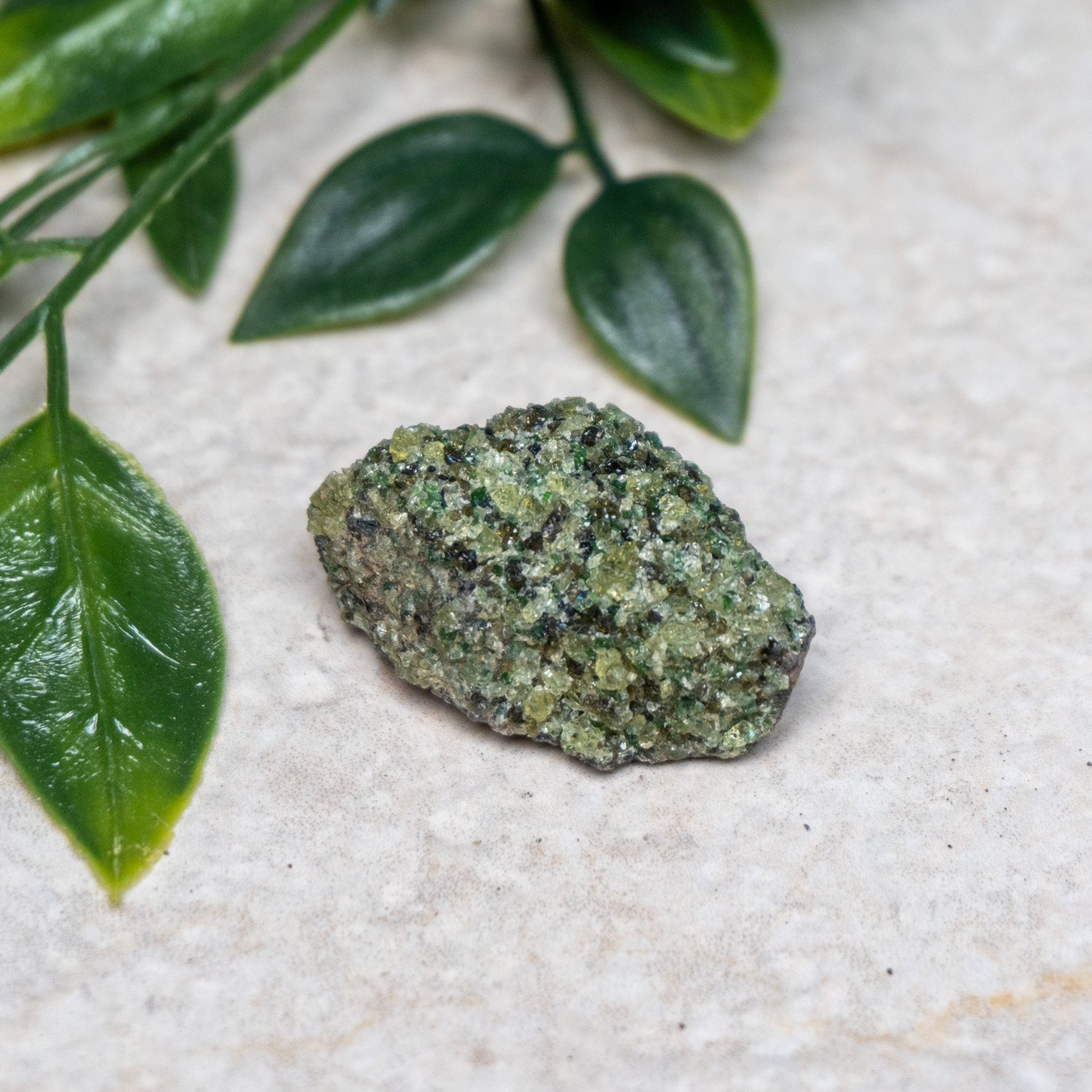 Raw Peridot #11 - The Crystal Council