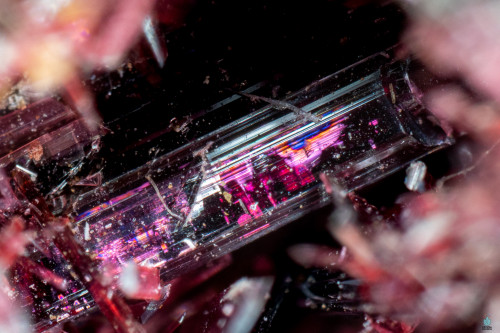 Golden Healer Quartz Meanings and Crystal Properties - The Crystal Council