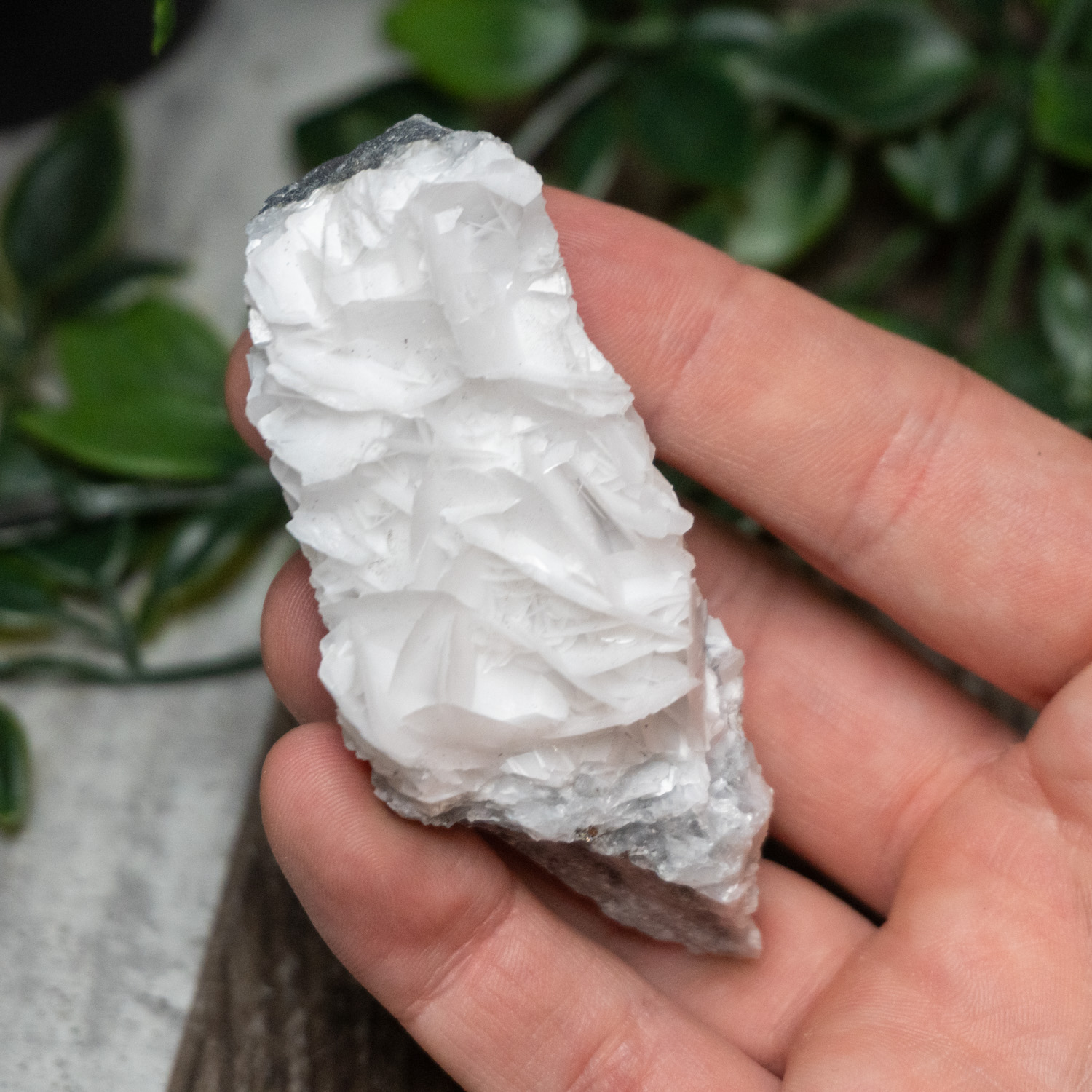 Chinese Bladed Calcite (UV Reactive) #7 - The Crystal Council