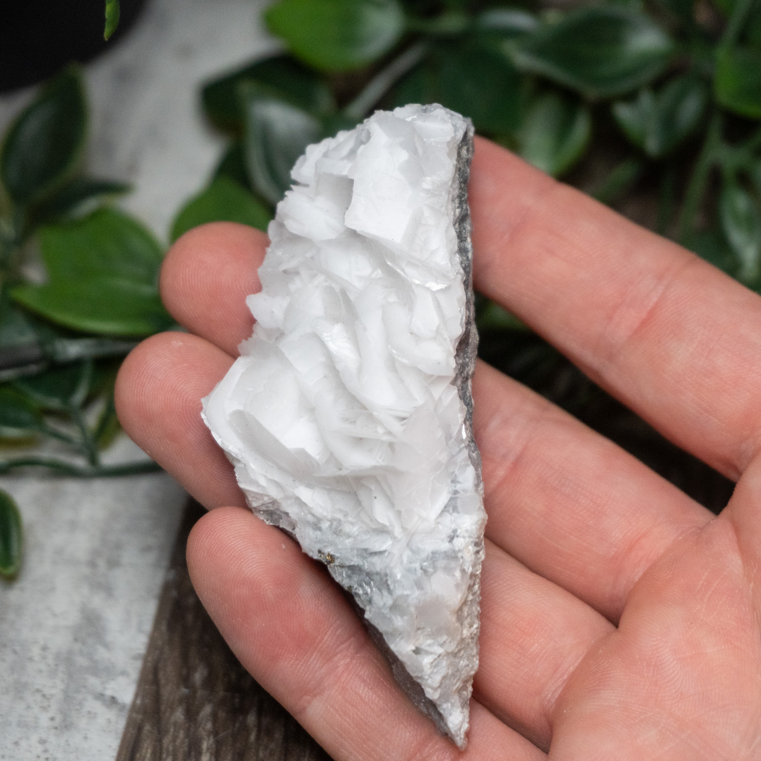 Chinese Bladed Calcite (UV Reactive) #7 - The Crystal Council