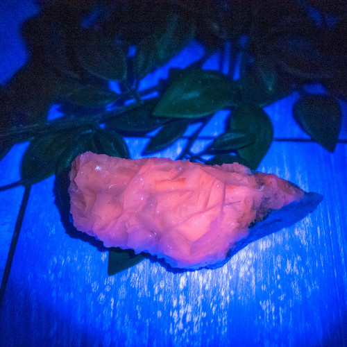 Chinese Bladed Calcite (UV Reactive) #7 - The Crystal Council