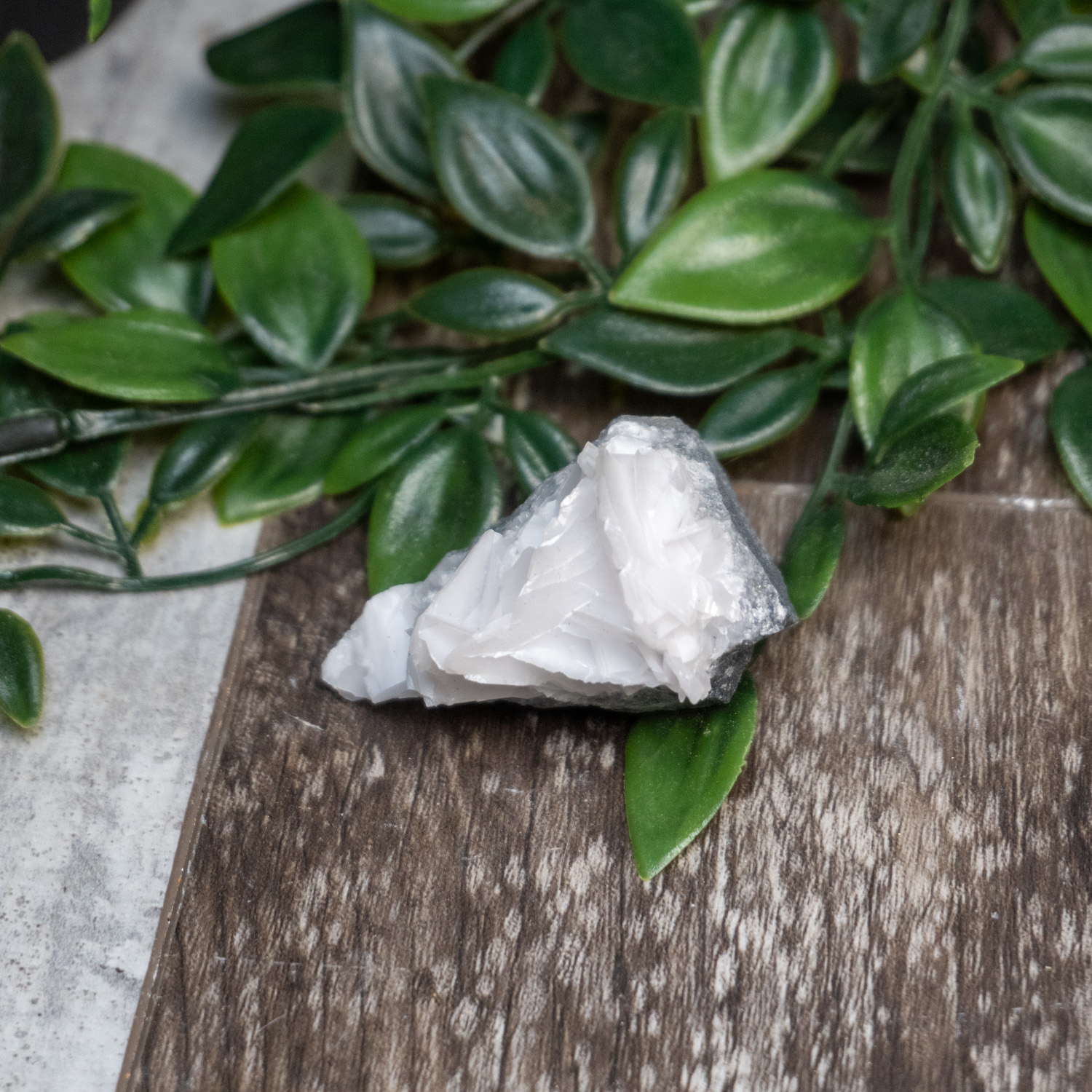 Chinese Bladed Calcite (UV Reactive) #2 - The Crystal Council