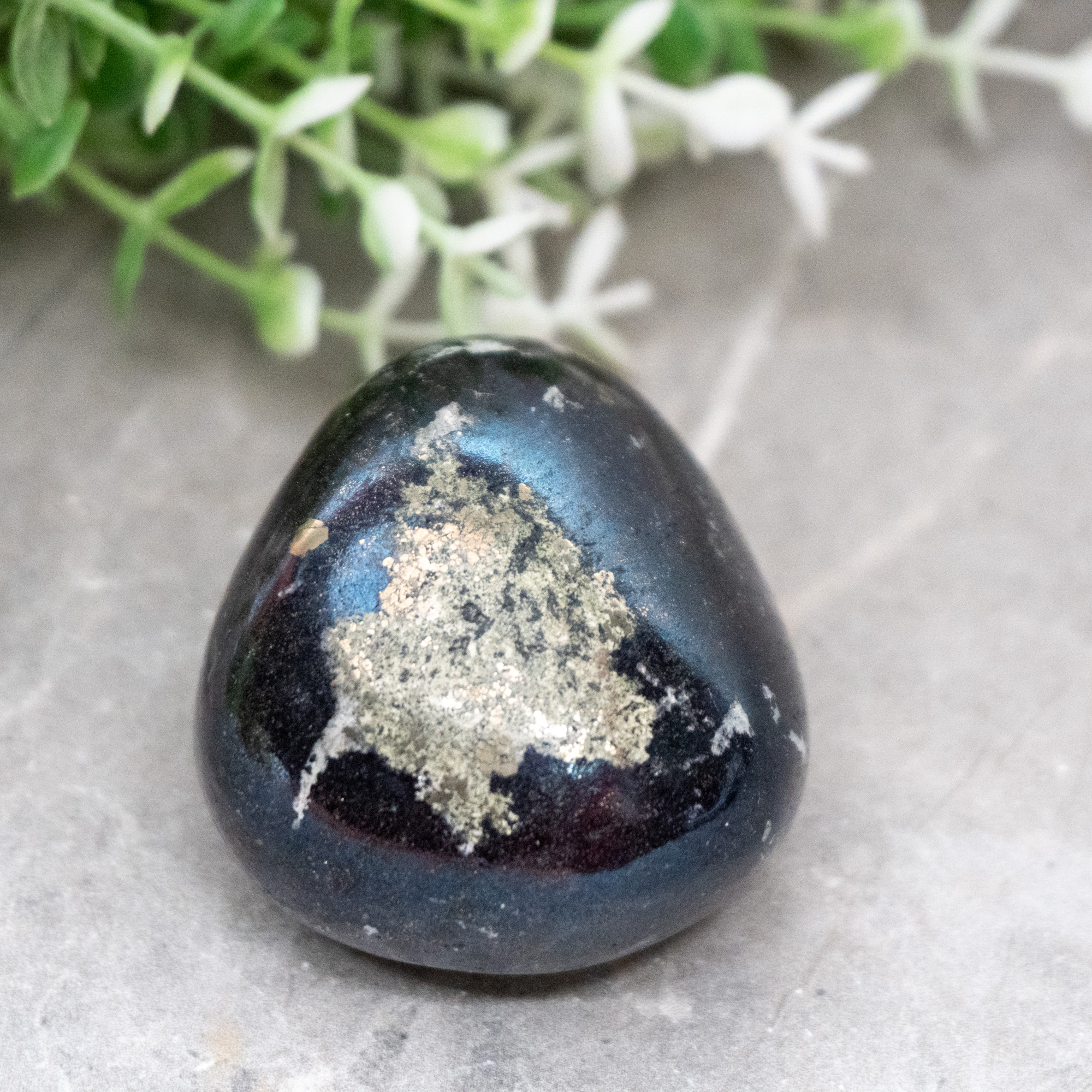 Covellite Polished #8 - The Crystal Council