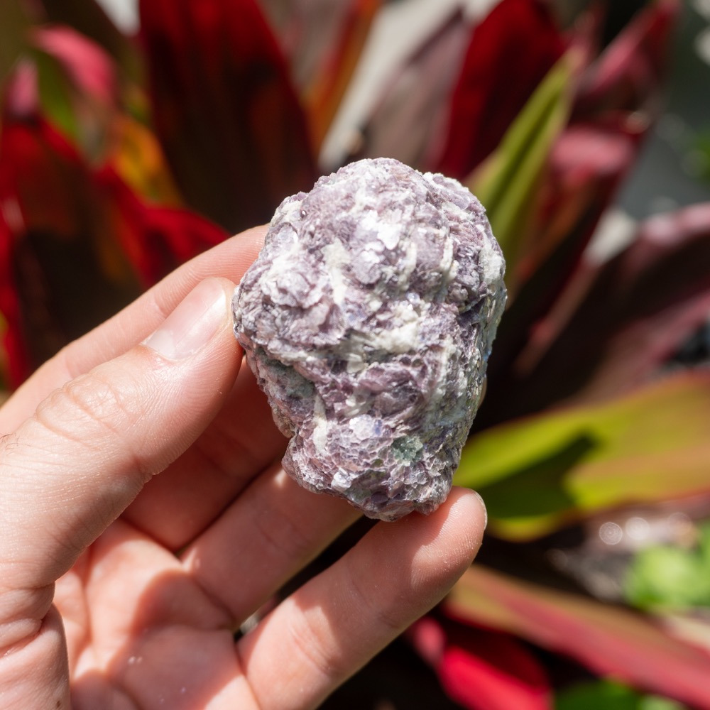 Small Botryoidal Lepidolite - The Crystal Council