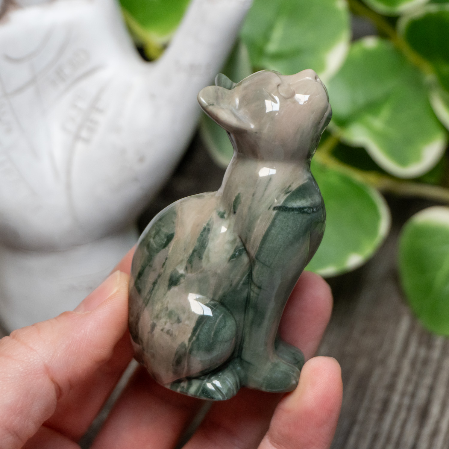 Nine Dragon Jade Cat - The Crystal Council