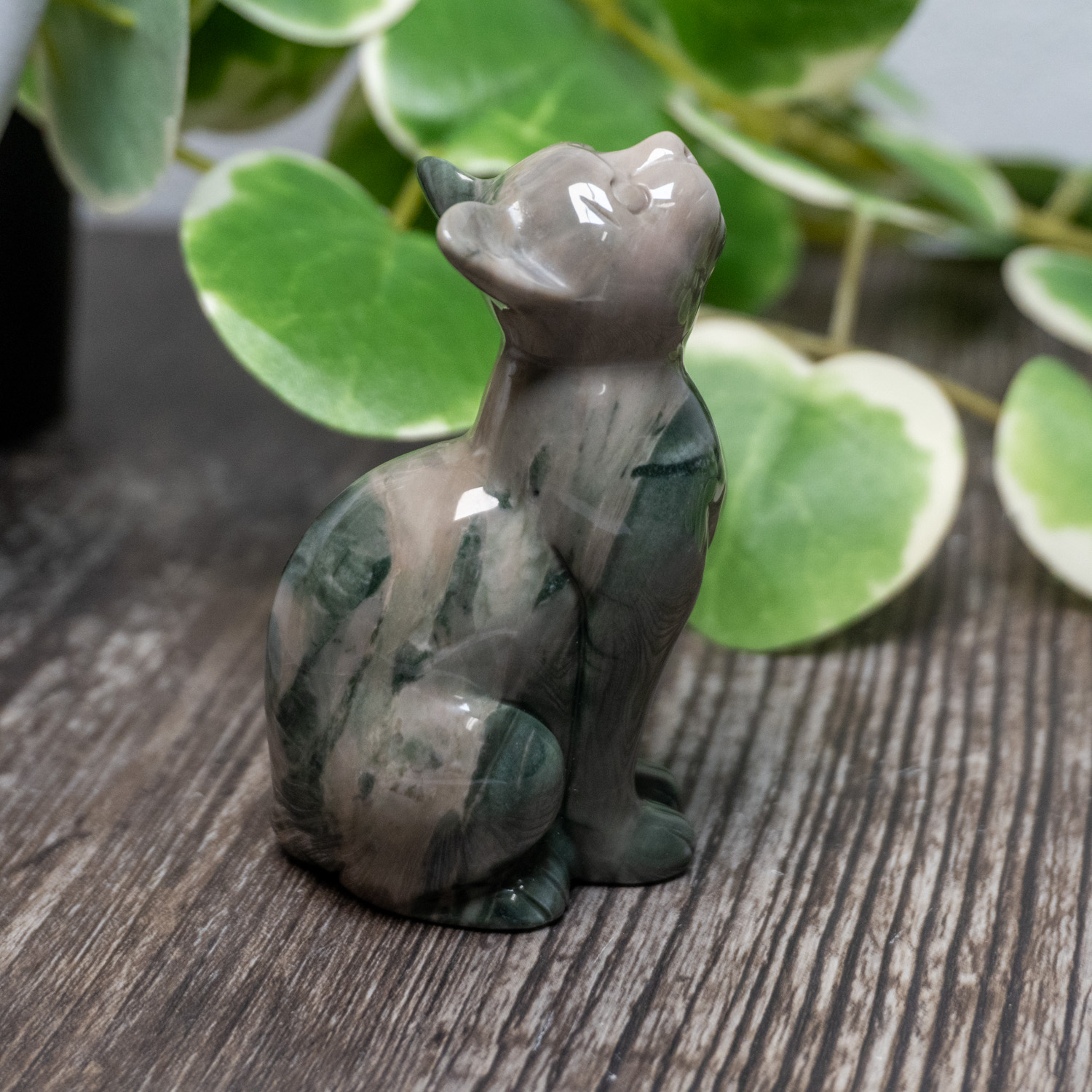 Nine Dragon Jade Cat - The Crystal Council