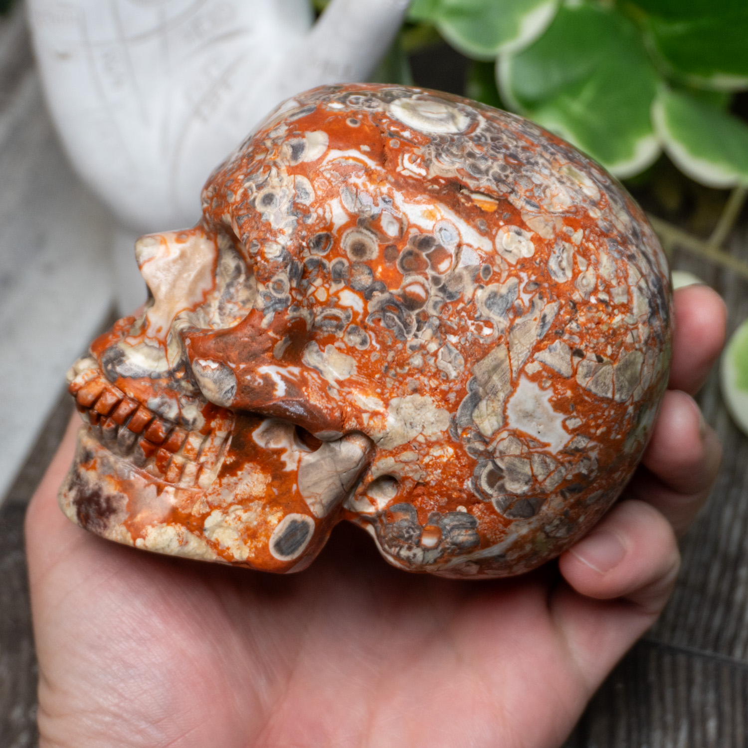 Red Rhyolite Skull Large - The Crystal Council