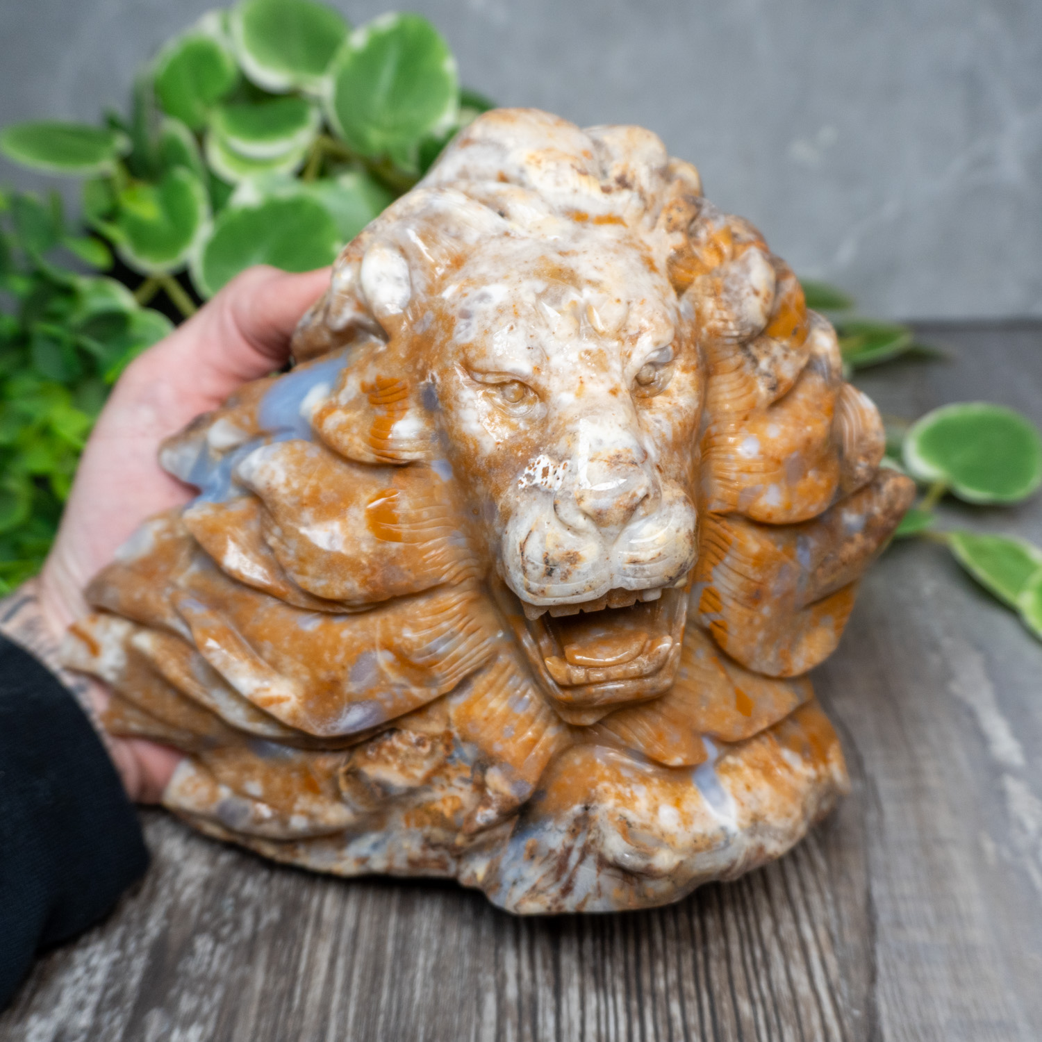 Chalcedony & Agate Lion Carving #4 - The Crystal Council