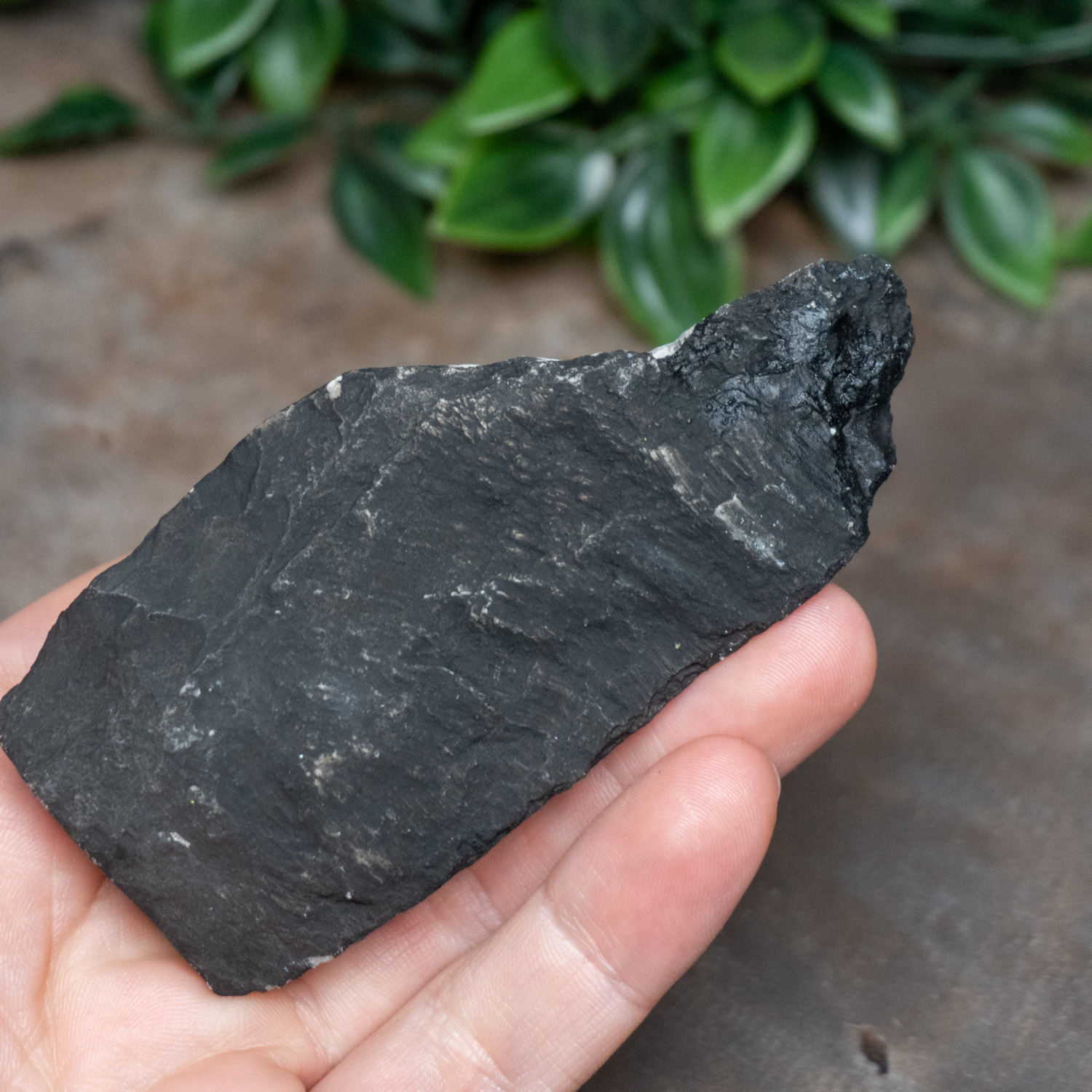 Chrysanthemum Stone #1 - The Crystal Council