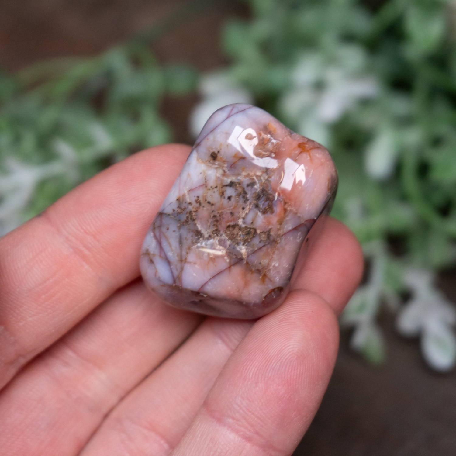 Pilbara Agate Polished #7 - The Crystal Council