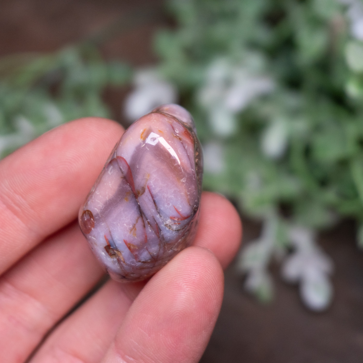 Pilbara Agate Polished #7 - The Crystal Council