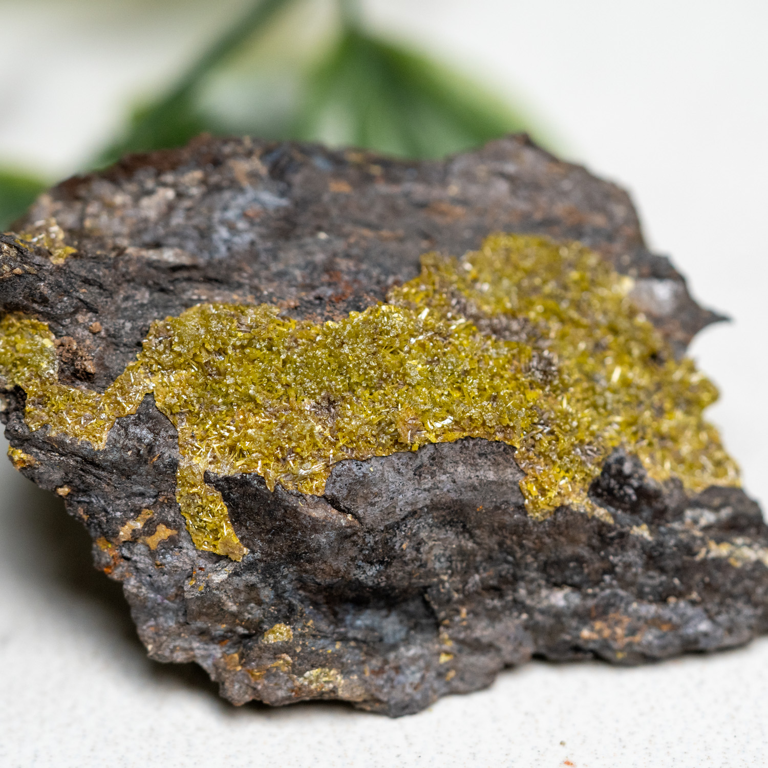 Pyromorphite Raw #2 - The Crystal Council