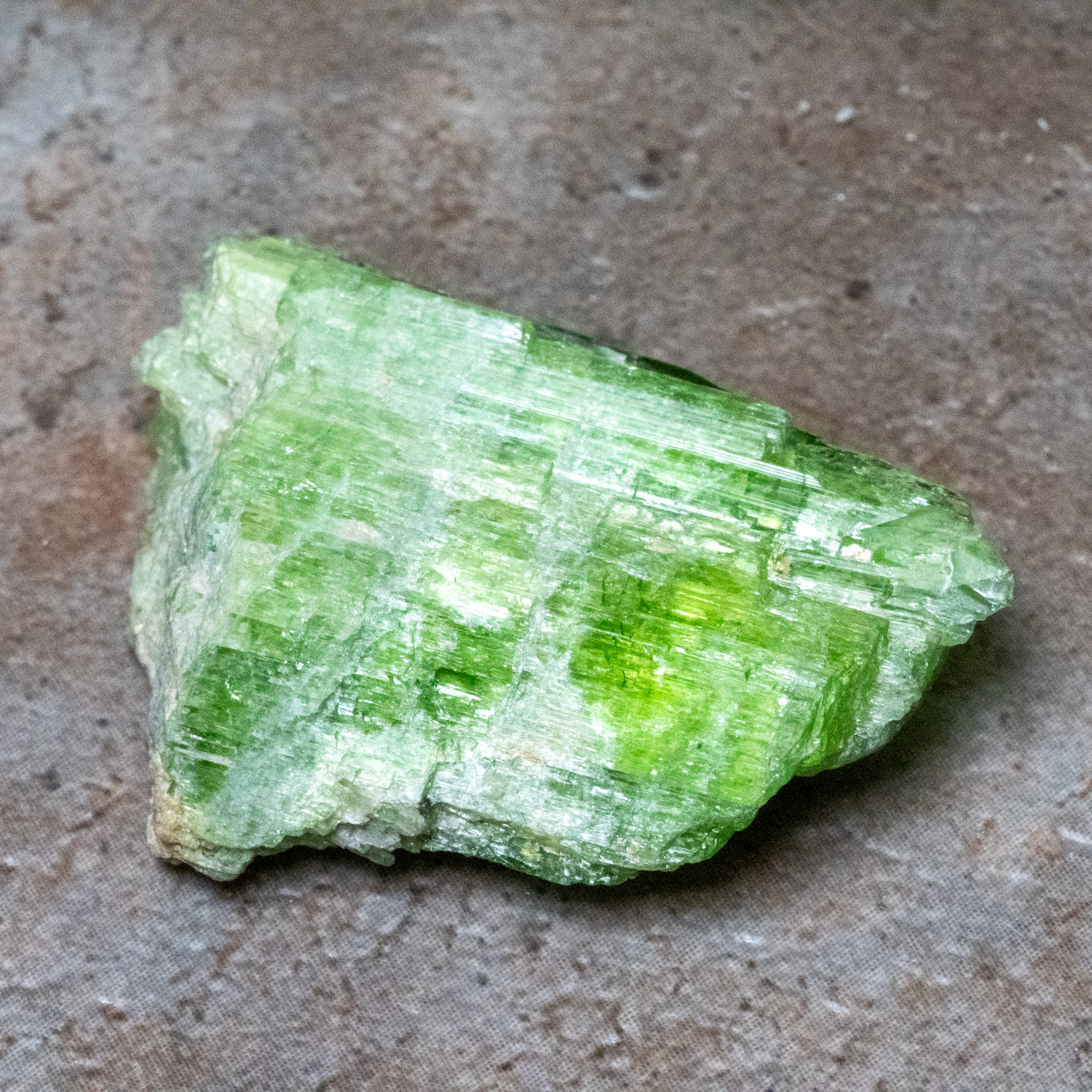 Chrome Tremolite #1 - The Crystal Council
