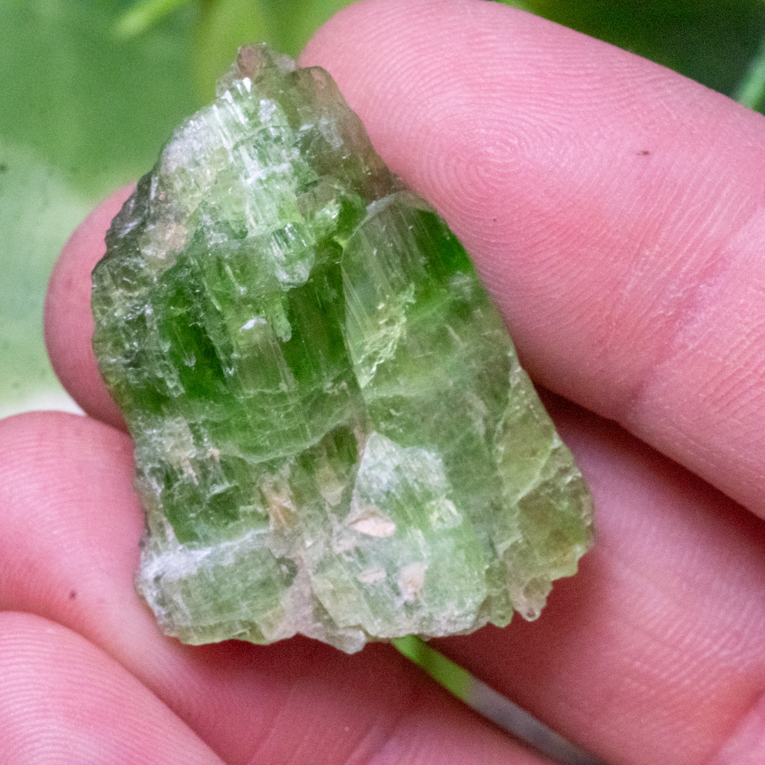 Chrome Tremolite #1 - The Crystal Council