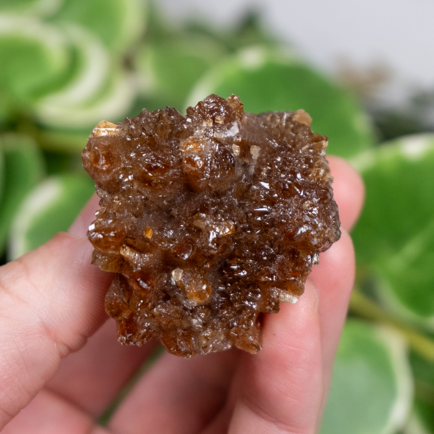 Amber Calcite #4 - The Crystal Council