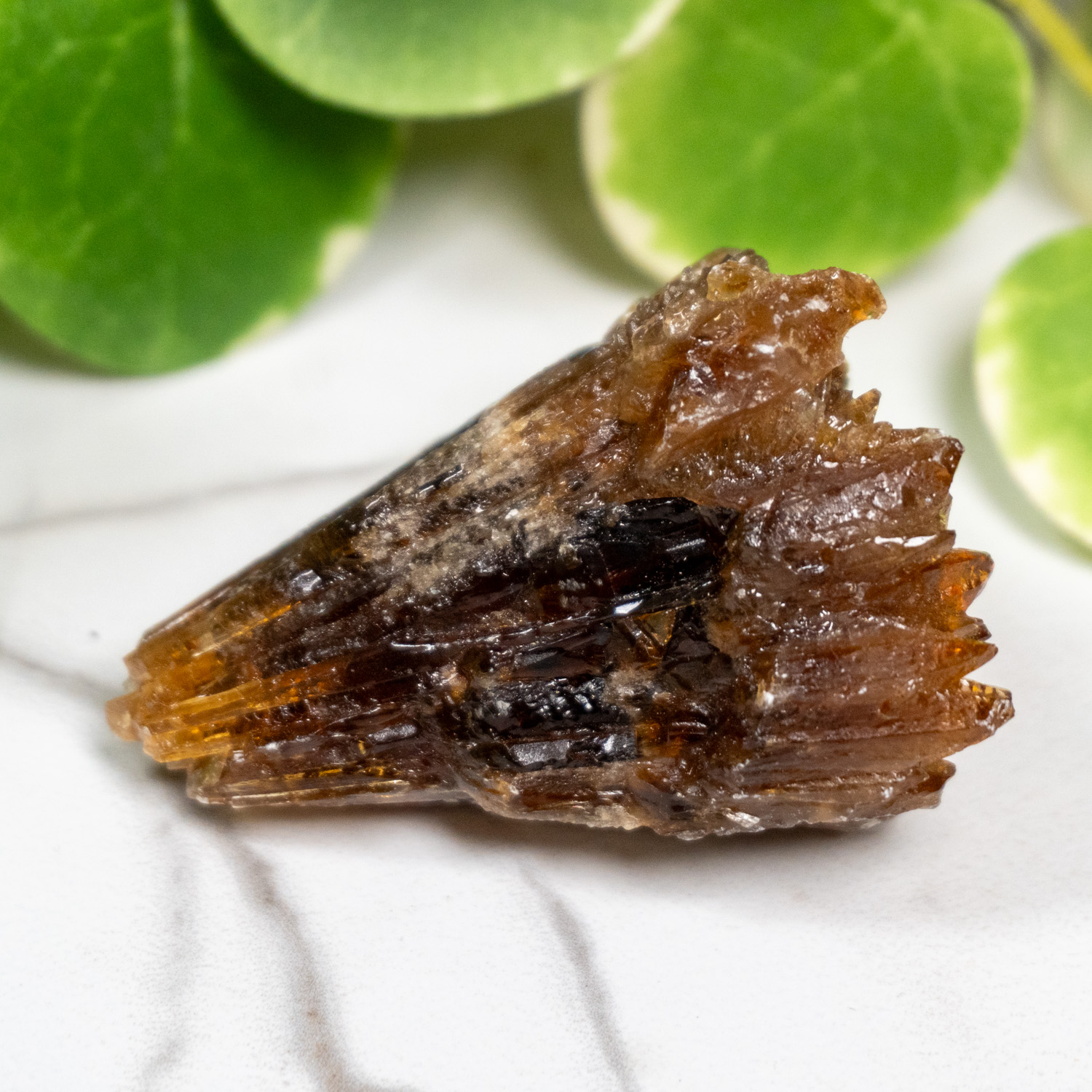 Amber Calcite #4 - The Crystal Council