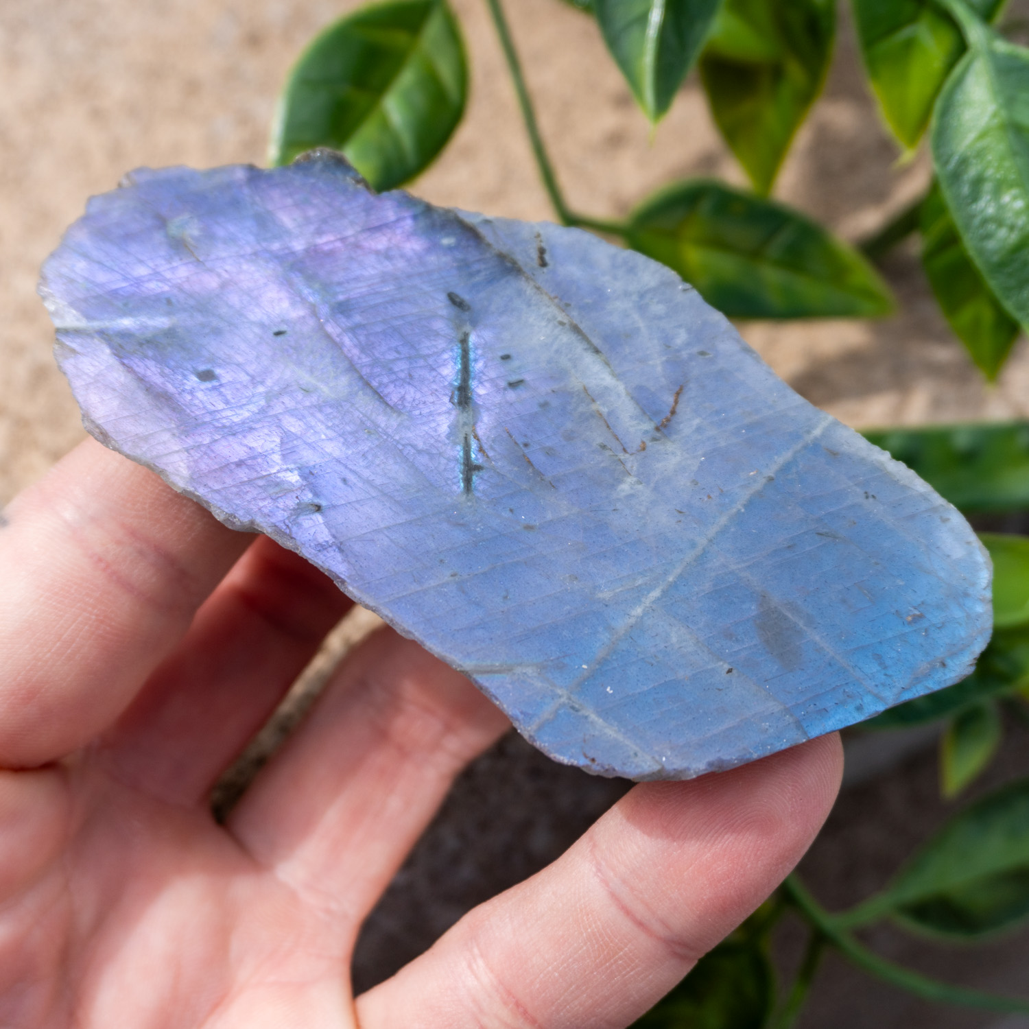 Purple Labradorite Half Polished #10 - The Crystal Council