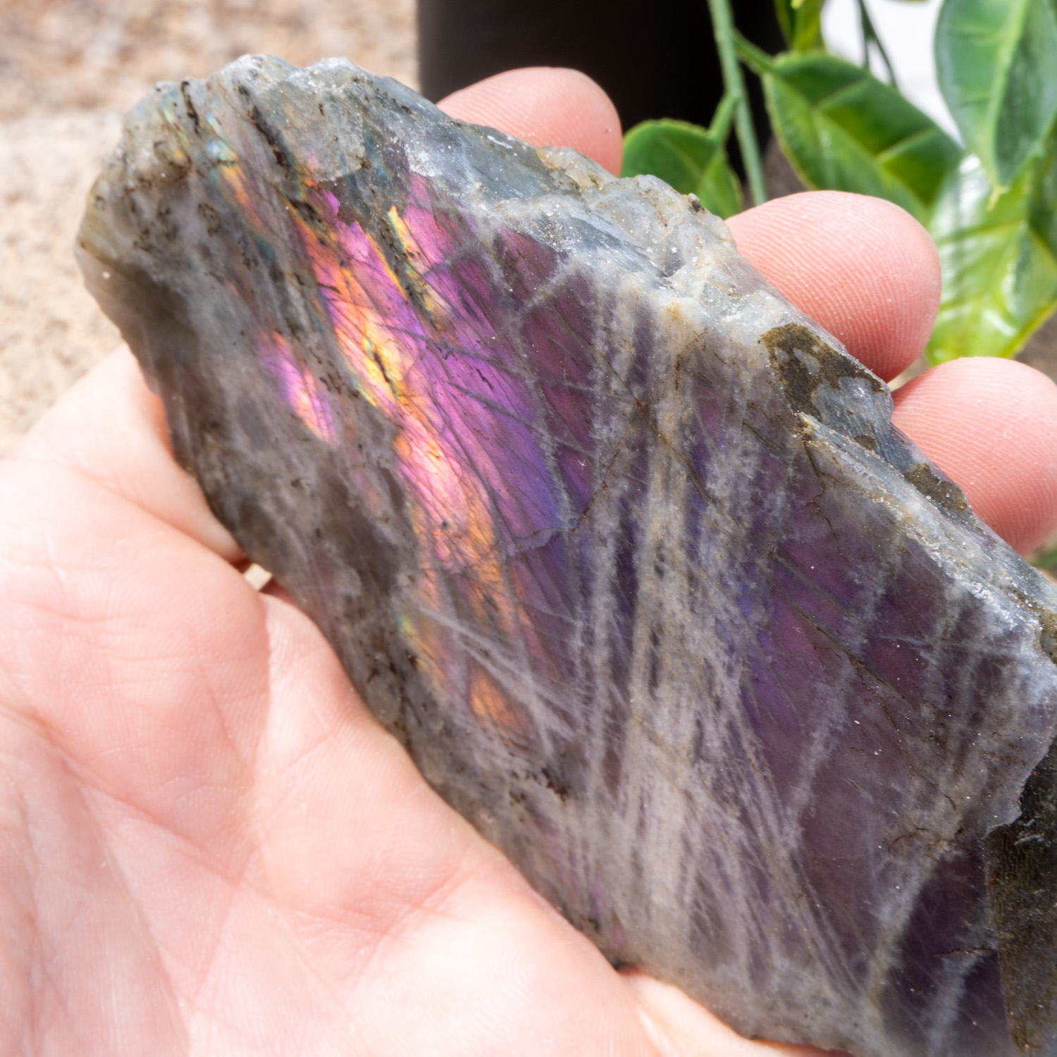 Purple Labradorite Half Polished #11 - The Crystal Council
