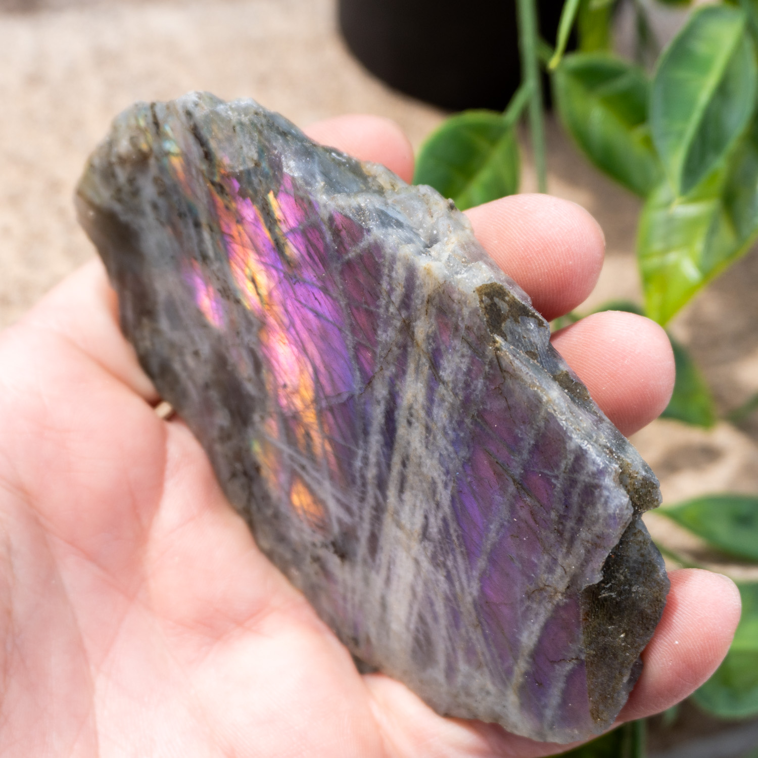 Purple Labradorite Half Polished #11 - The Crystal Council