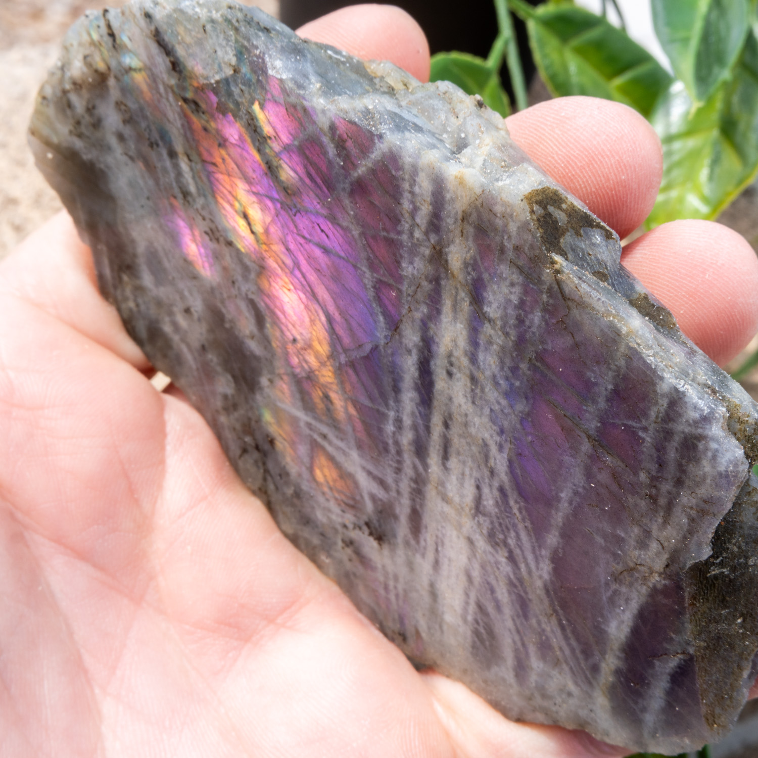 Purple Labradorite Half Polished #11 - The Crystal Council