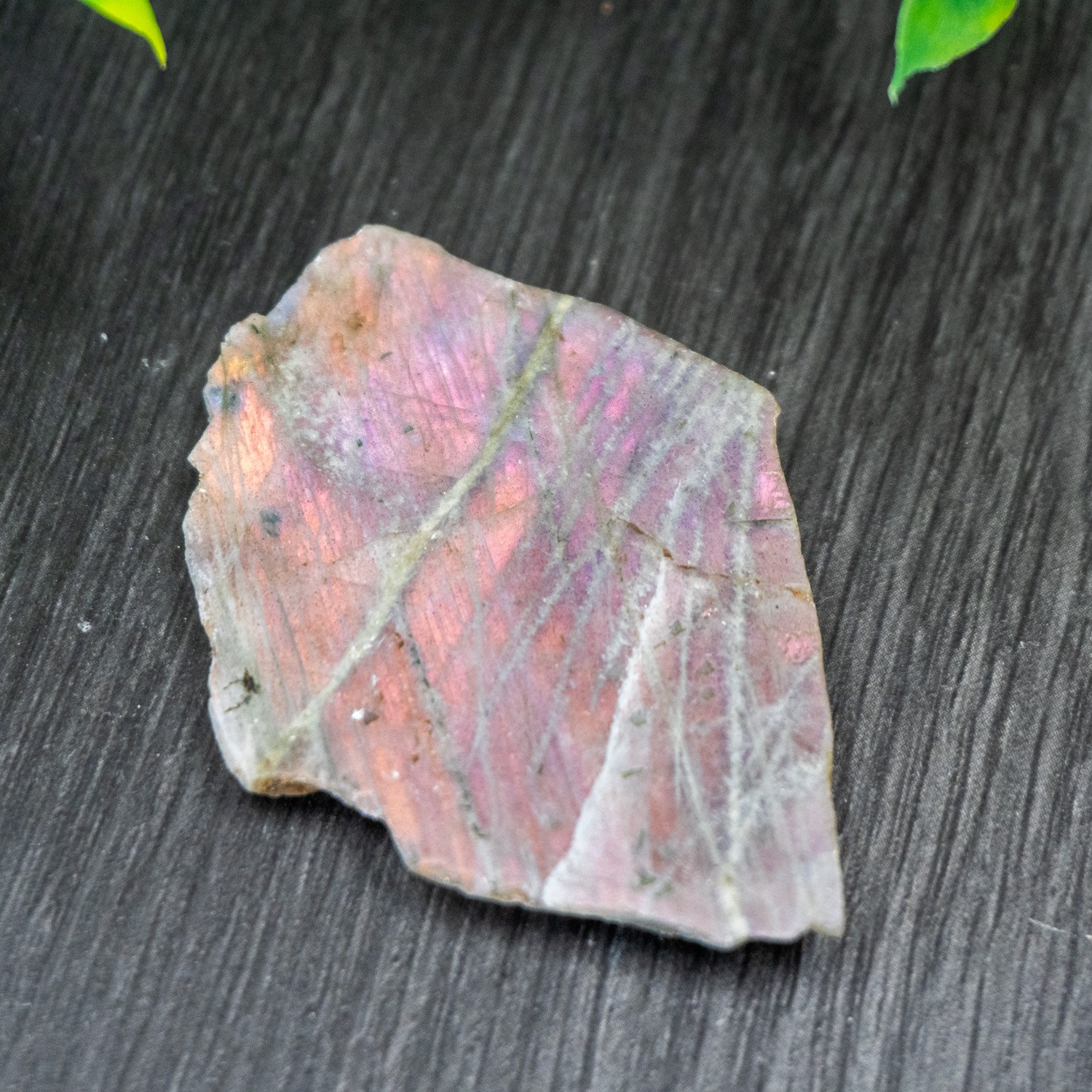 Purple Labradorite Half Polished #1 - The Crystal Council