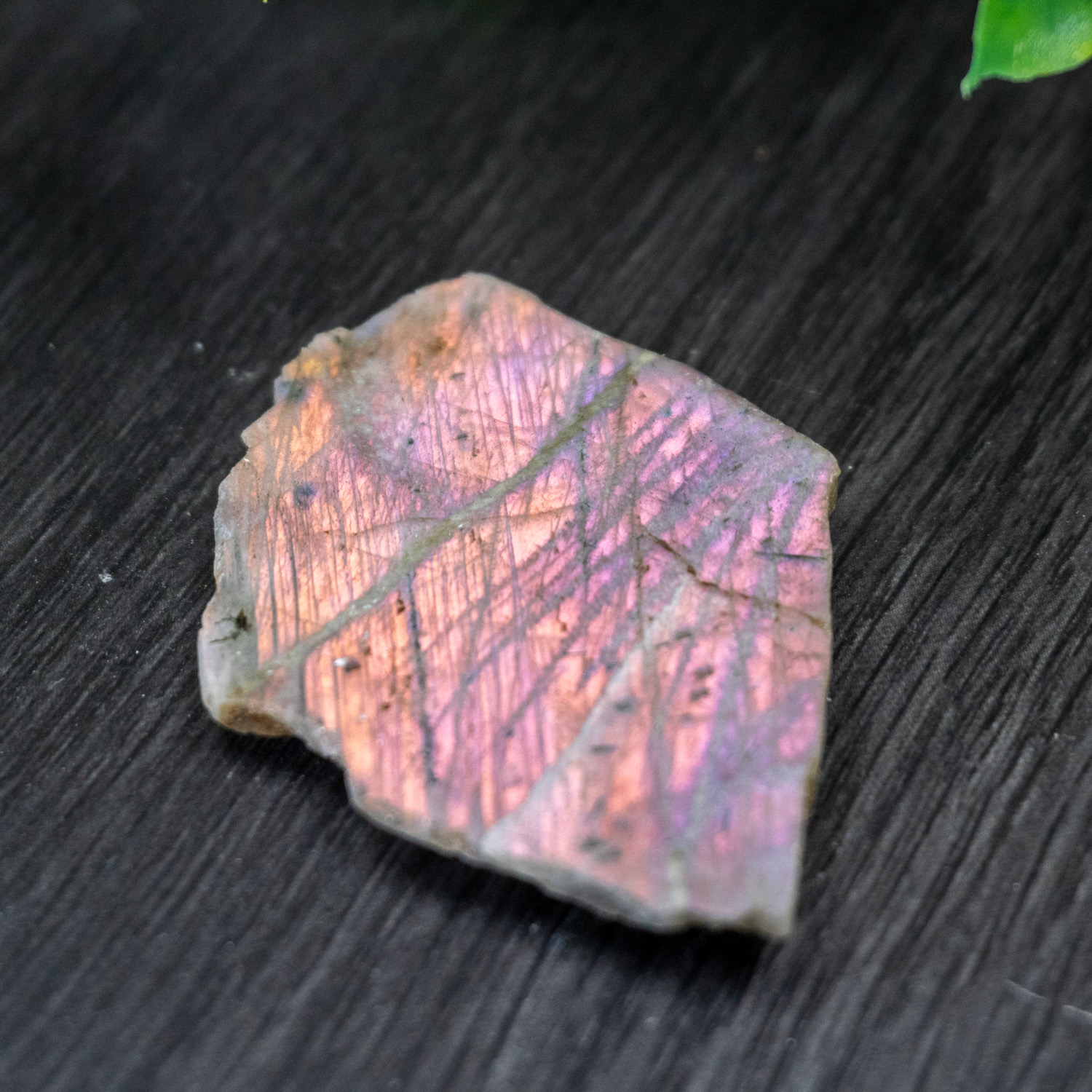 Purple Labradorite Half Polished #1 - The Crystal Council