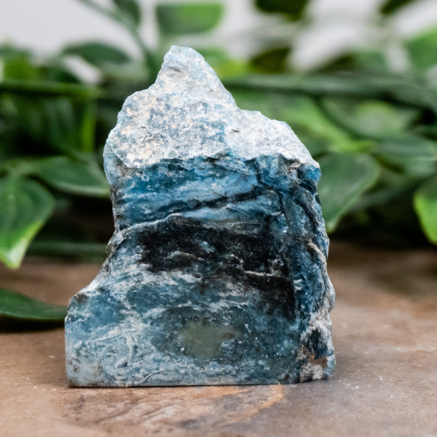 Dianite Polished #5 - The Crystal Council