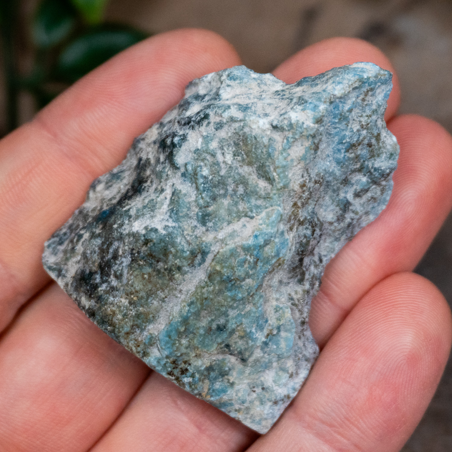 Dianite Polished #5 - The Crystal Council