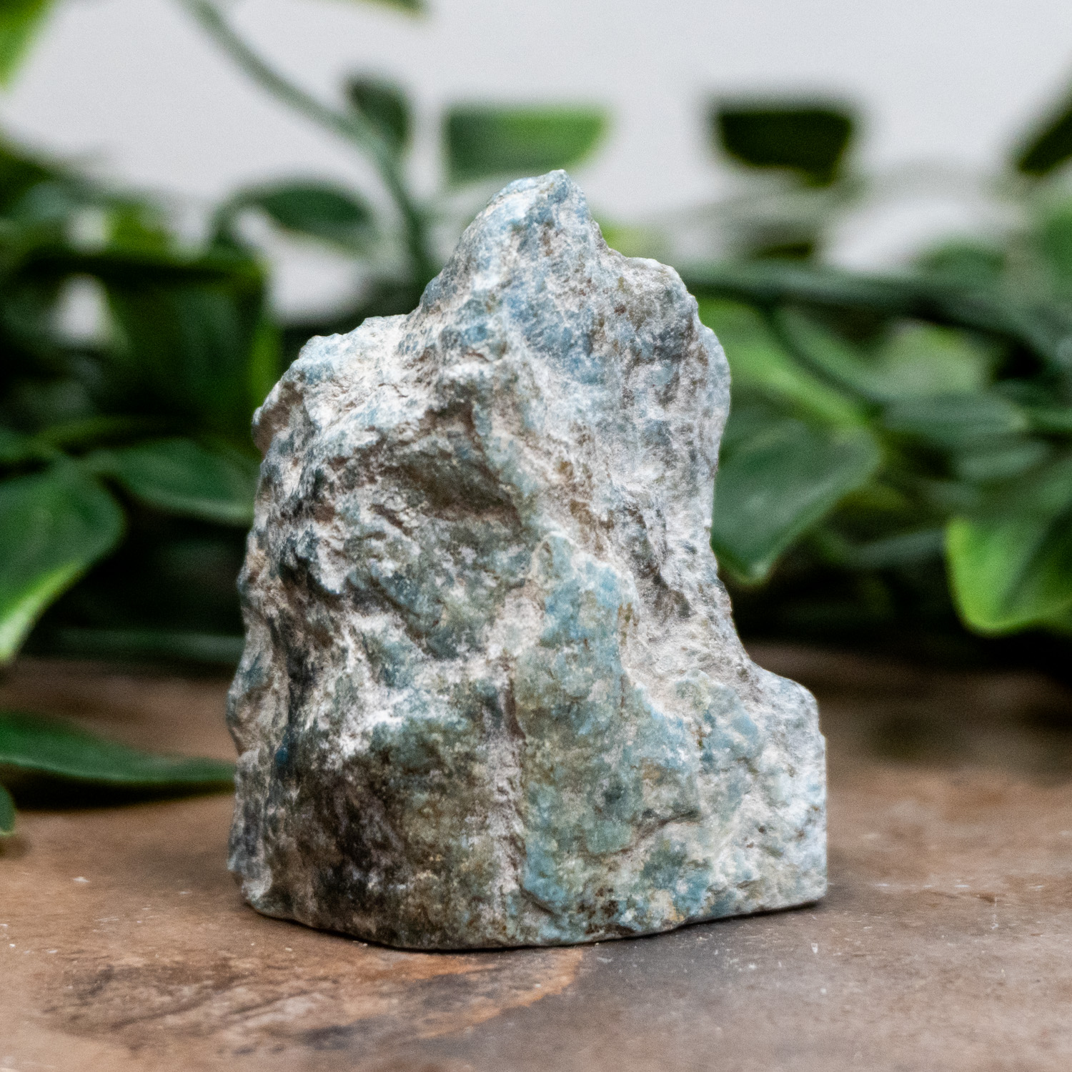 Dianite Polished #5 - The Crystal Council