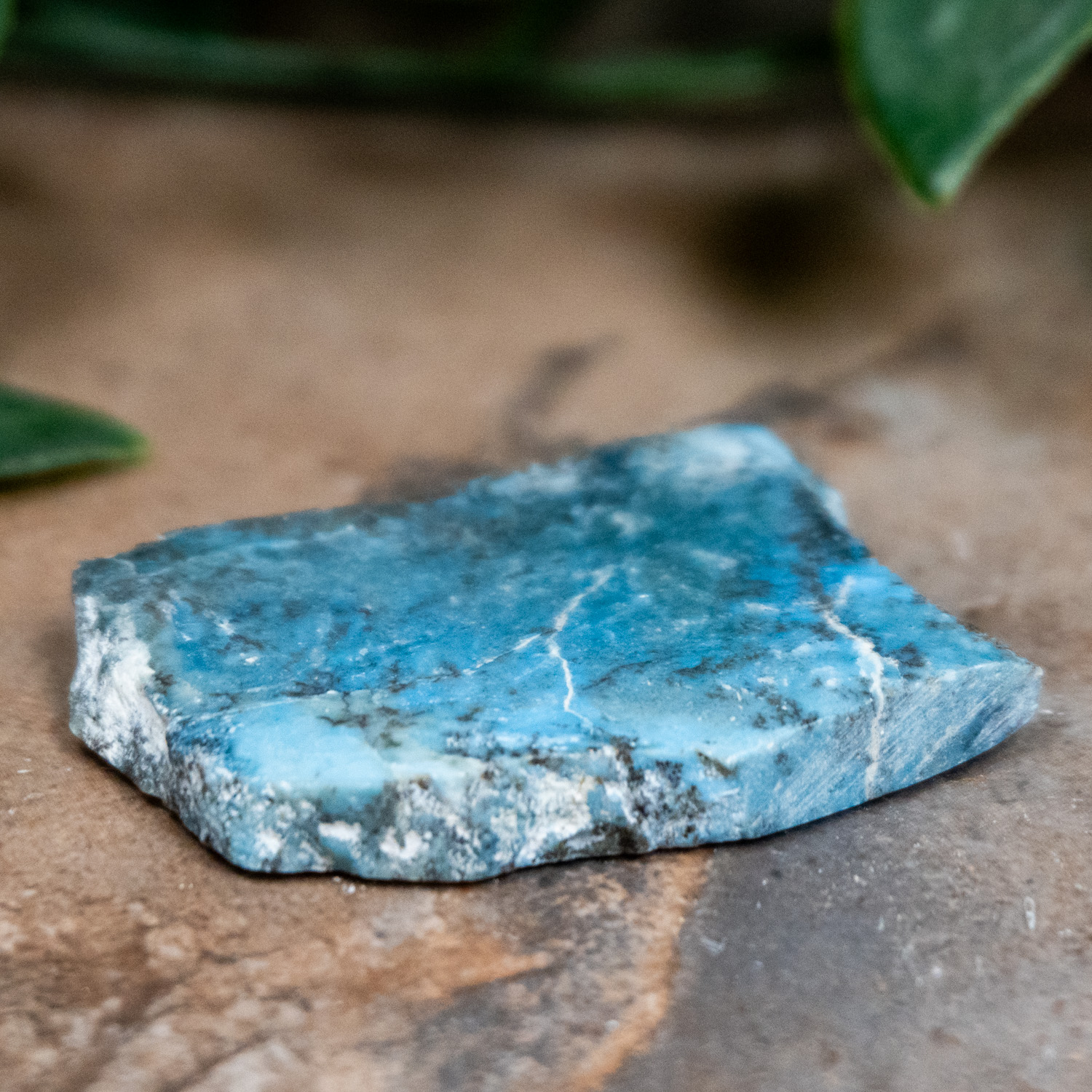 Dianite Polished #4 - The Crystal Council