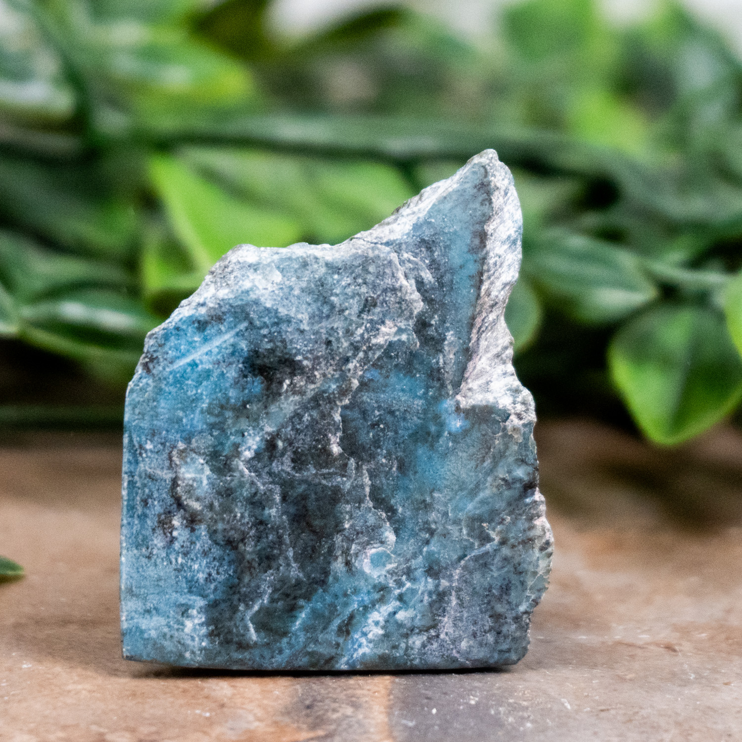 Dianite Polished #2 - The Crystal Council