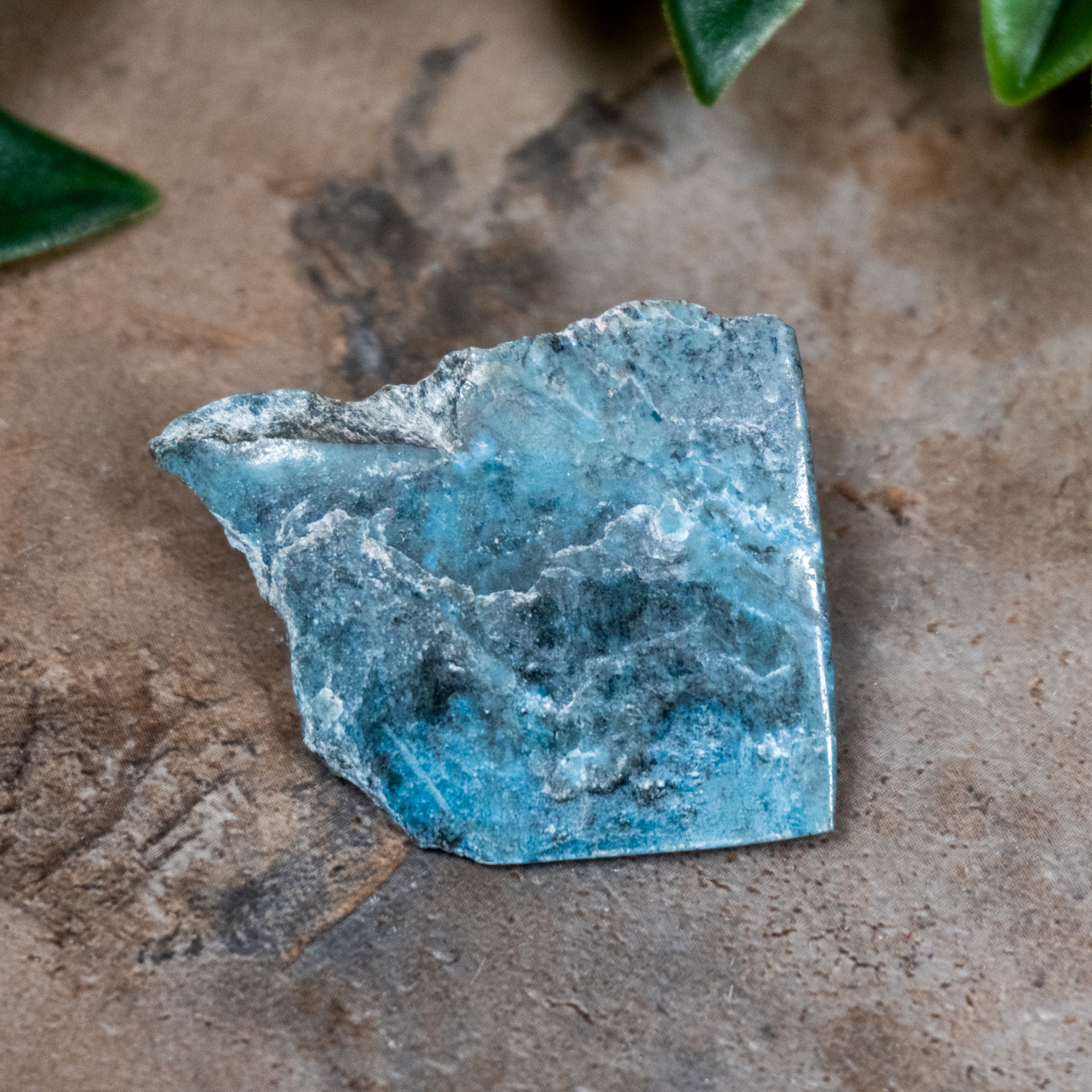 Dianite Polished #2 - The Crystal Council