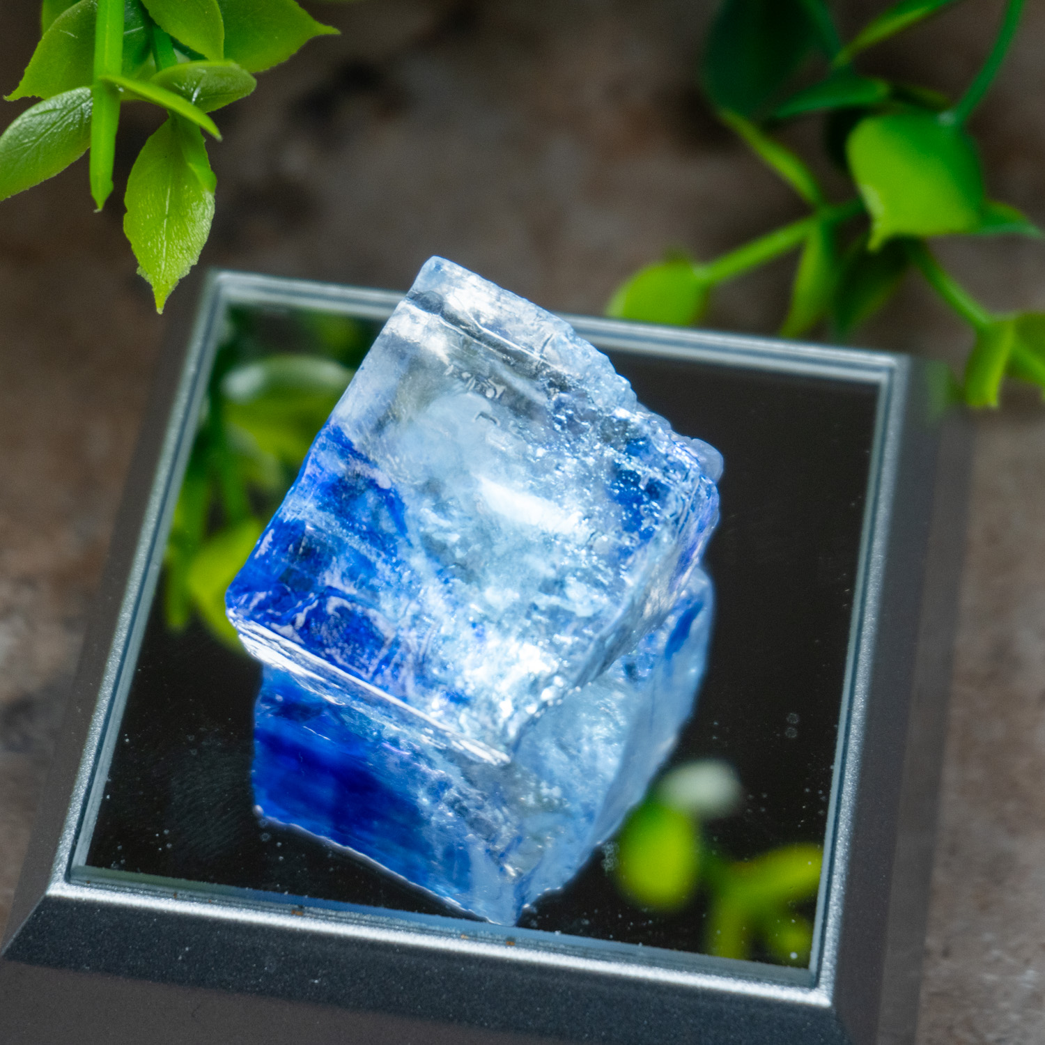 Blue Halite #4 - The Crystal Council