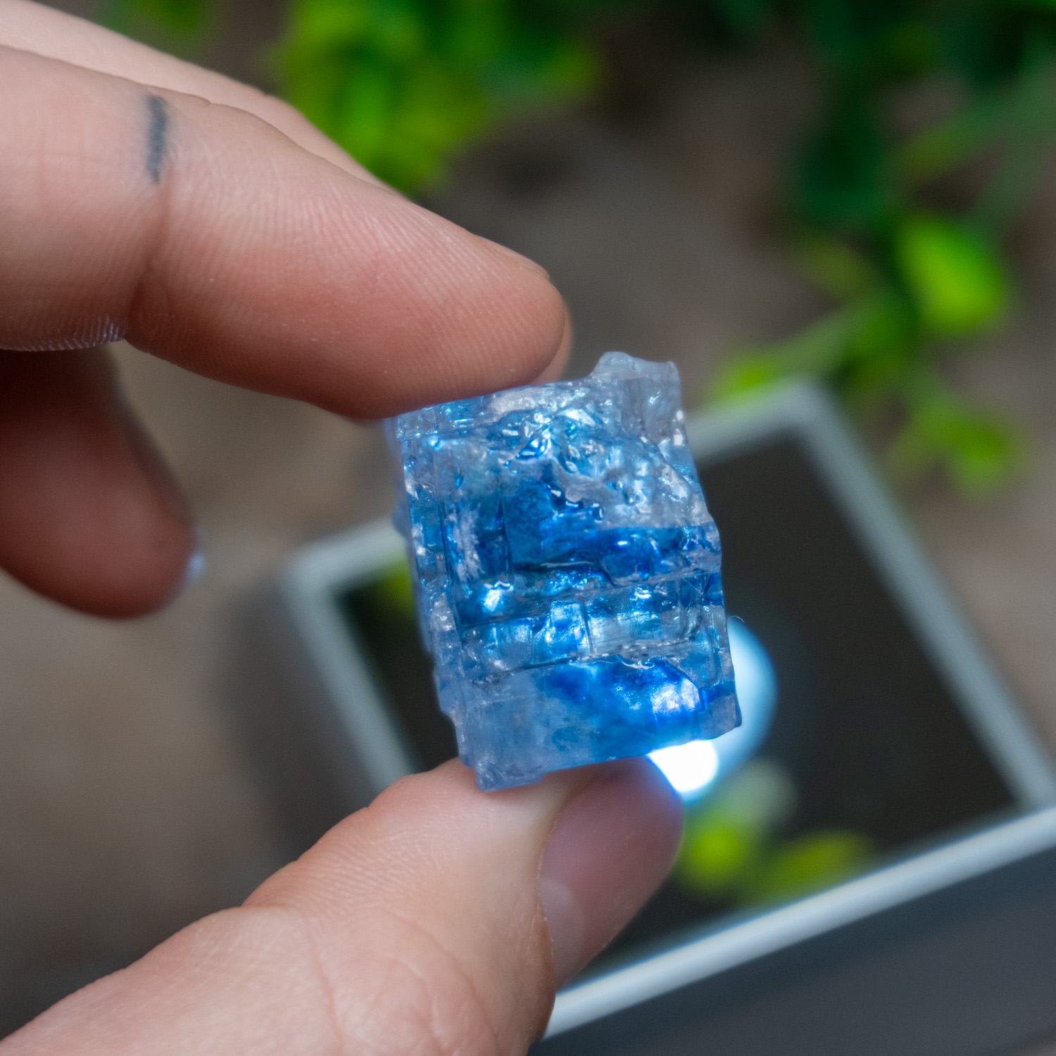 Blue Halite #2 - The Crystal Council