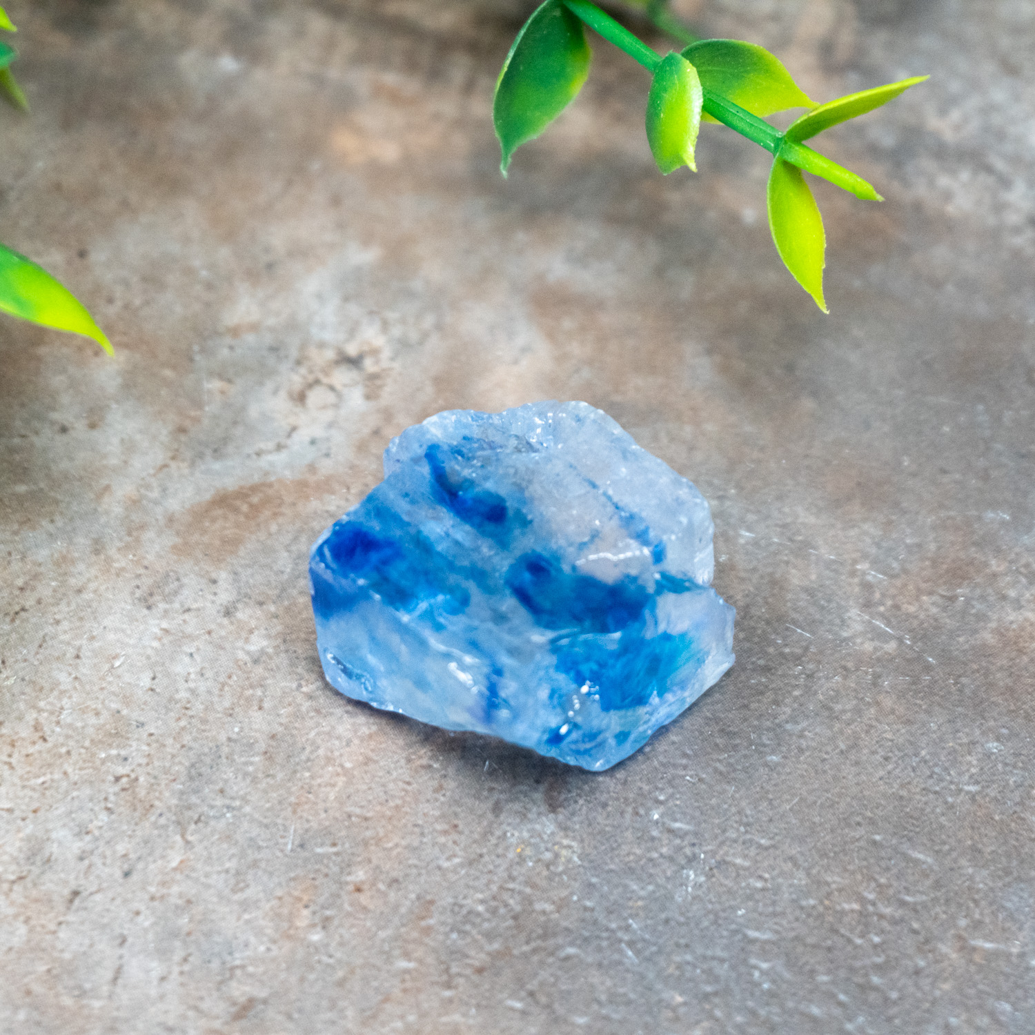 Blue Halite #2 - The Crystal Council