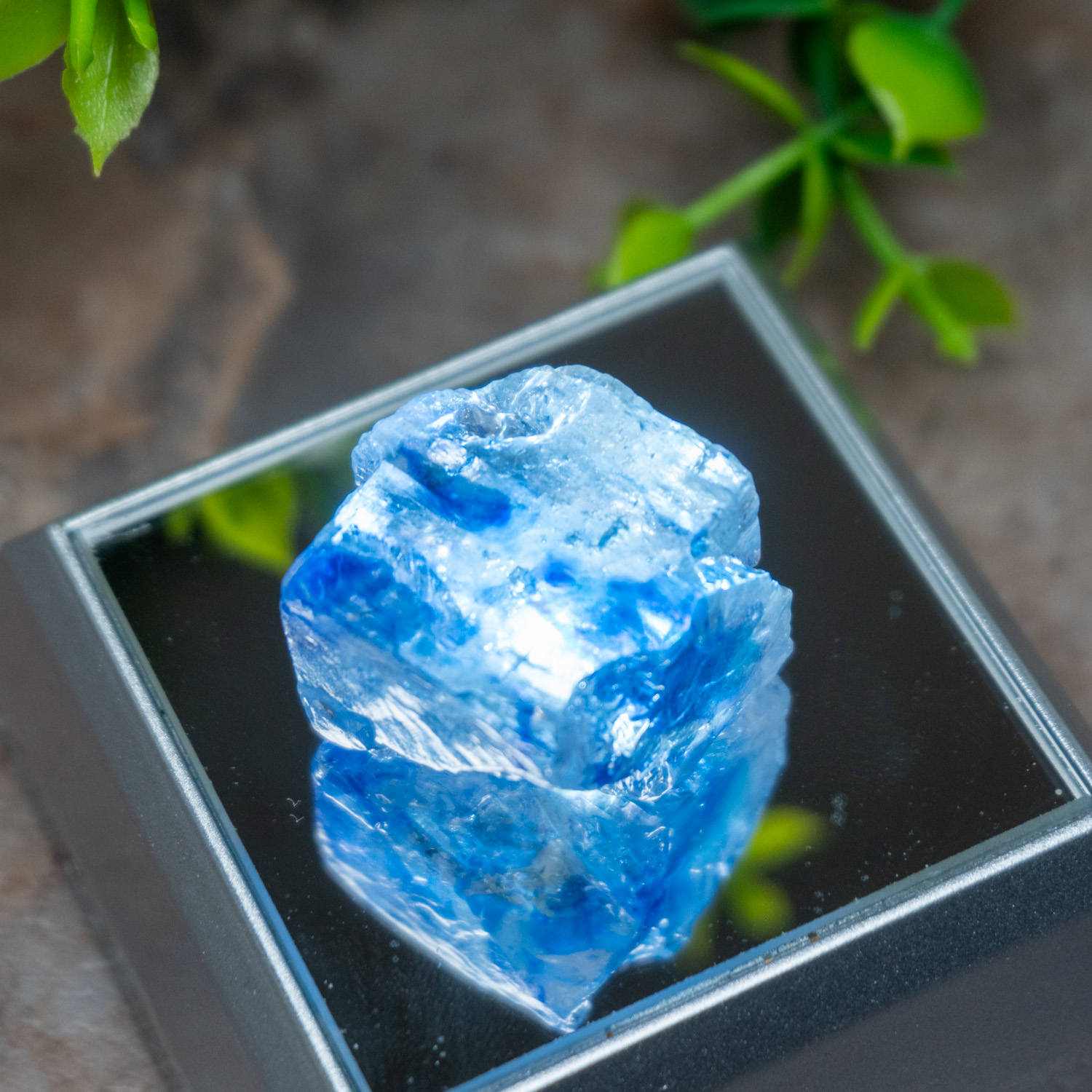 Blue Halite #2 - The Crystal Council