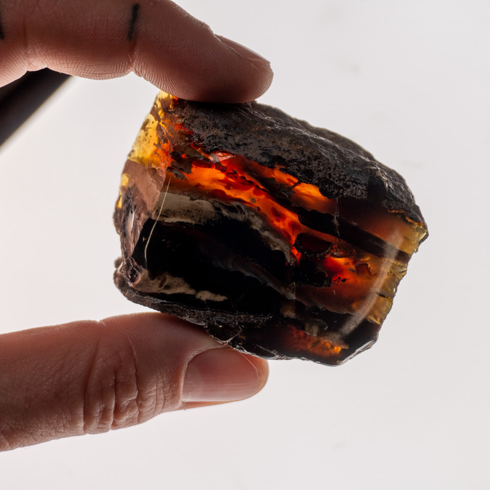 Indonesian Blue Amber Slice #2 - The Crystal Council