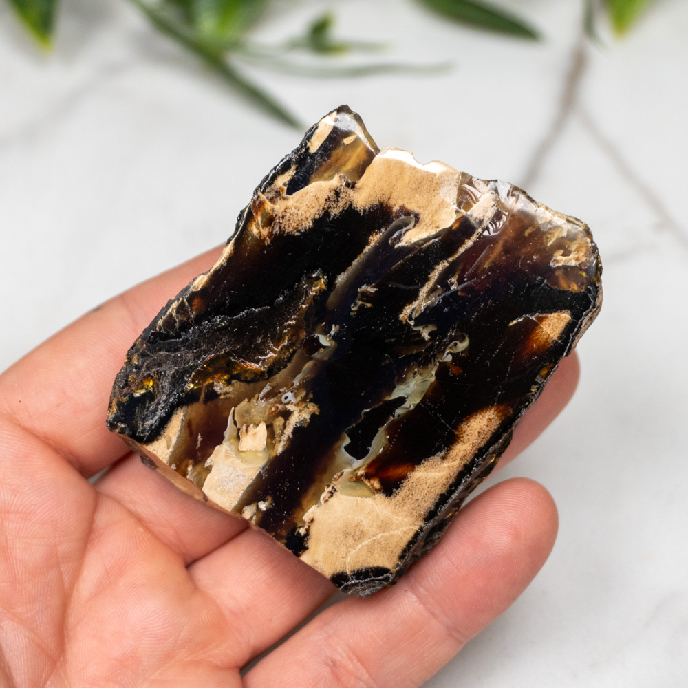 Indonesian Blue Amber Slice #1 - The Crystal Council