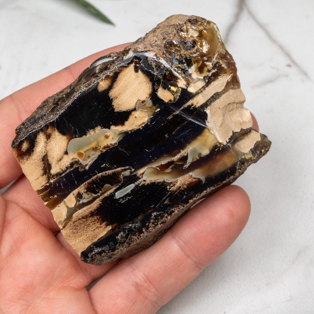 Indonesian Blue Amber Slice #1 - The Crystal Council