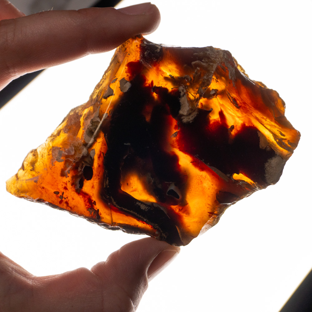 Indonesian Blue Amber Slice #8 - The Crystal Council