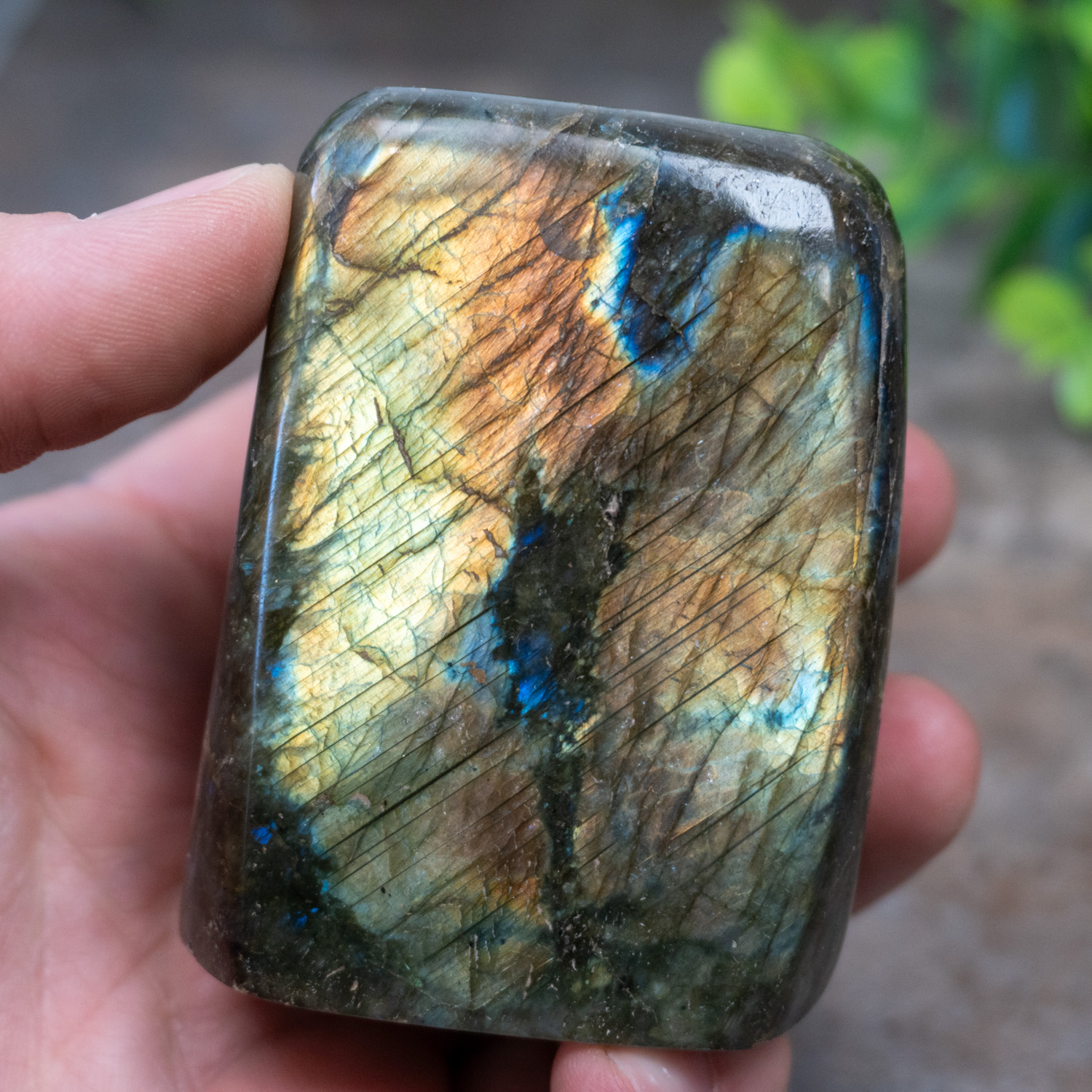 Labradorite Freeform #5 - The Crystal Council