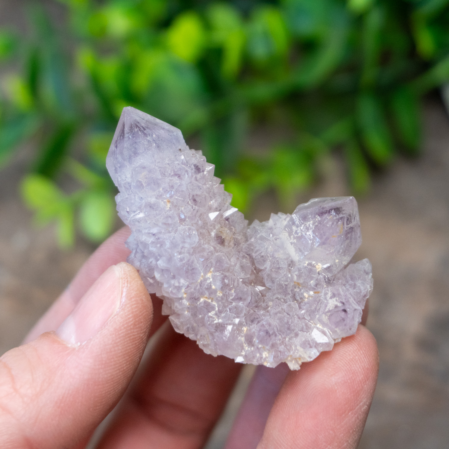 Spirit Quartz #5 - The Crystal Council