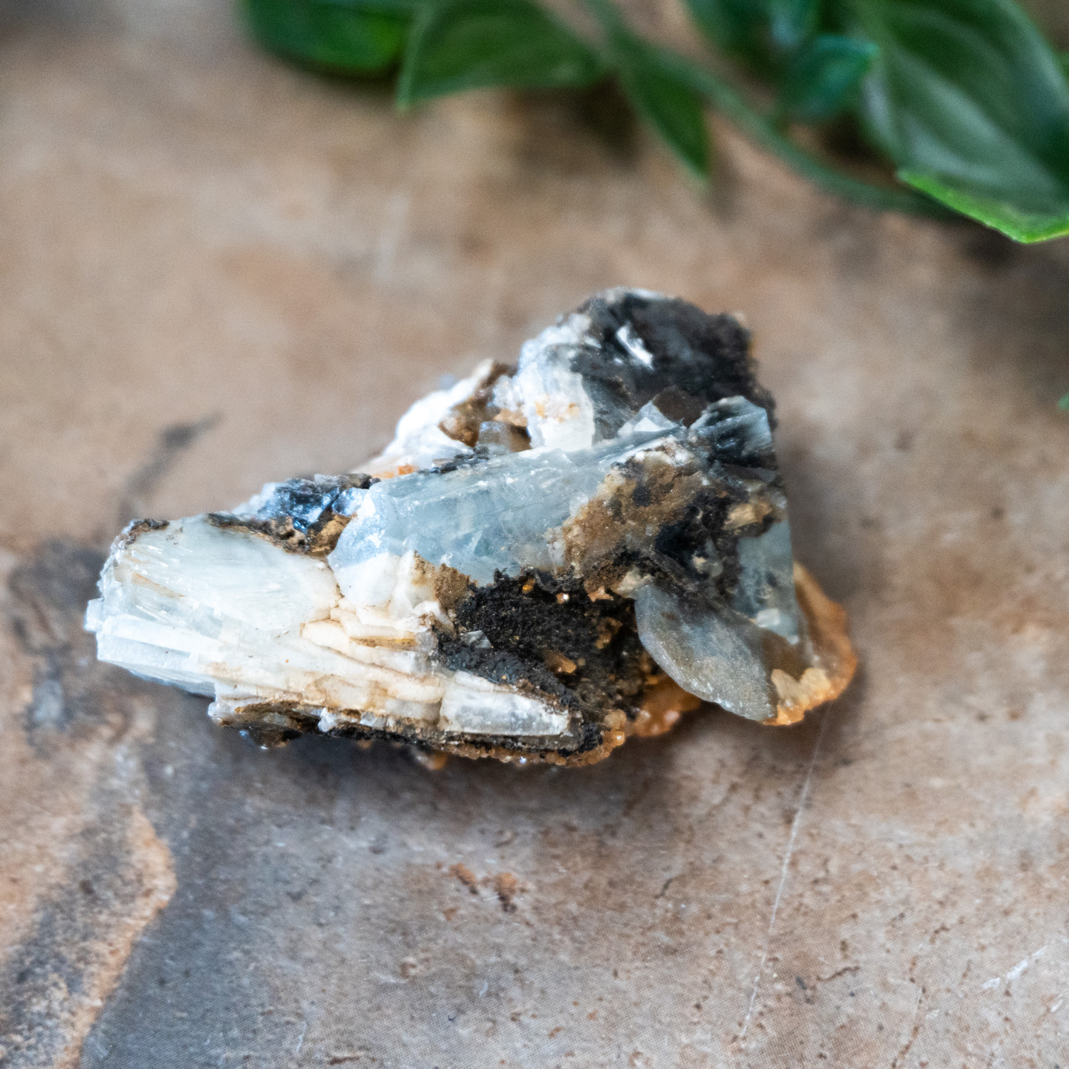 Blue Barite #1 - The Crystal Council