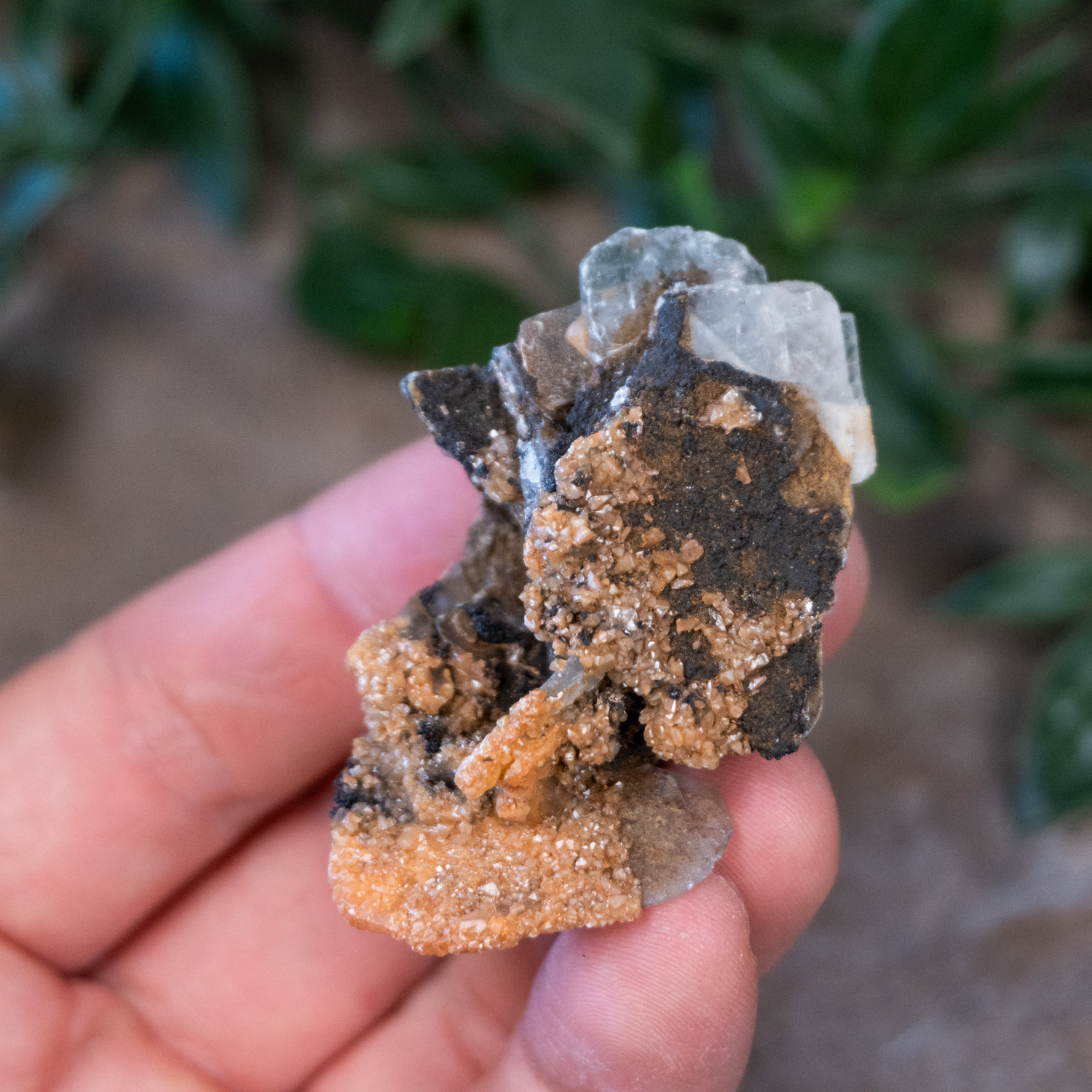 Blue Barite #1 - The Crystal Council