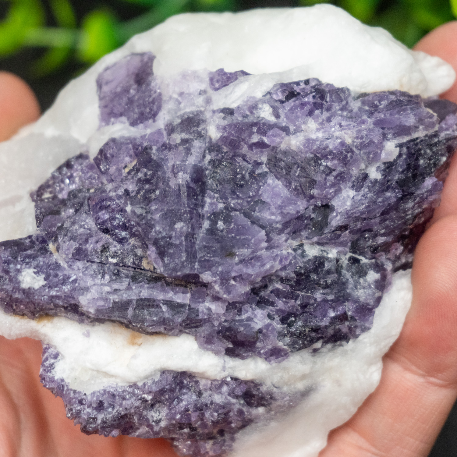 Purple Scapolite #1 - The Crystal Council