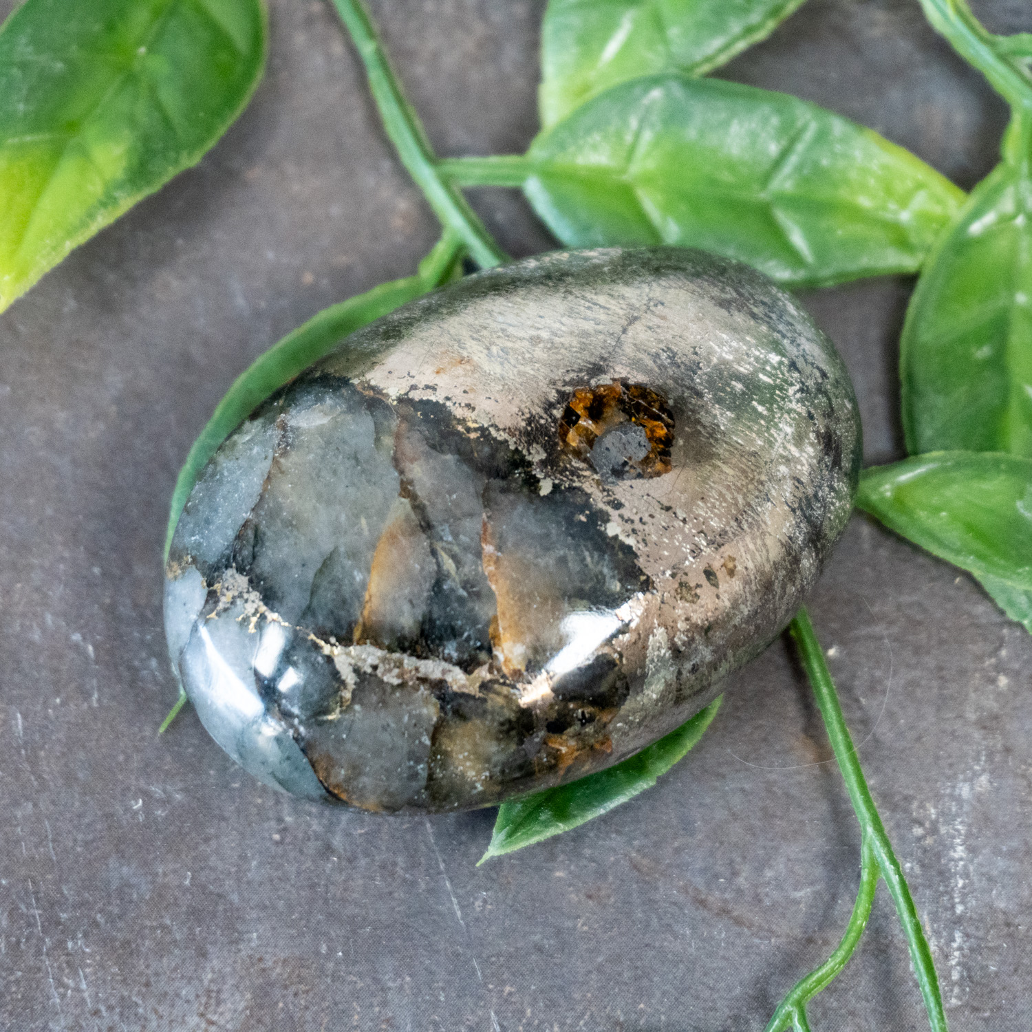 Lion's Gate Quartz Palmstone #10 - The Crystal Council