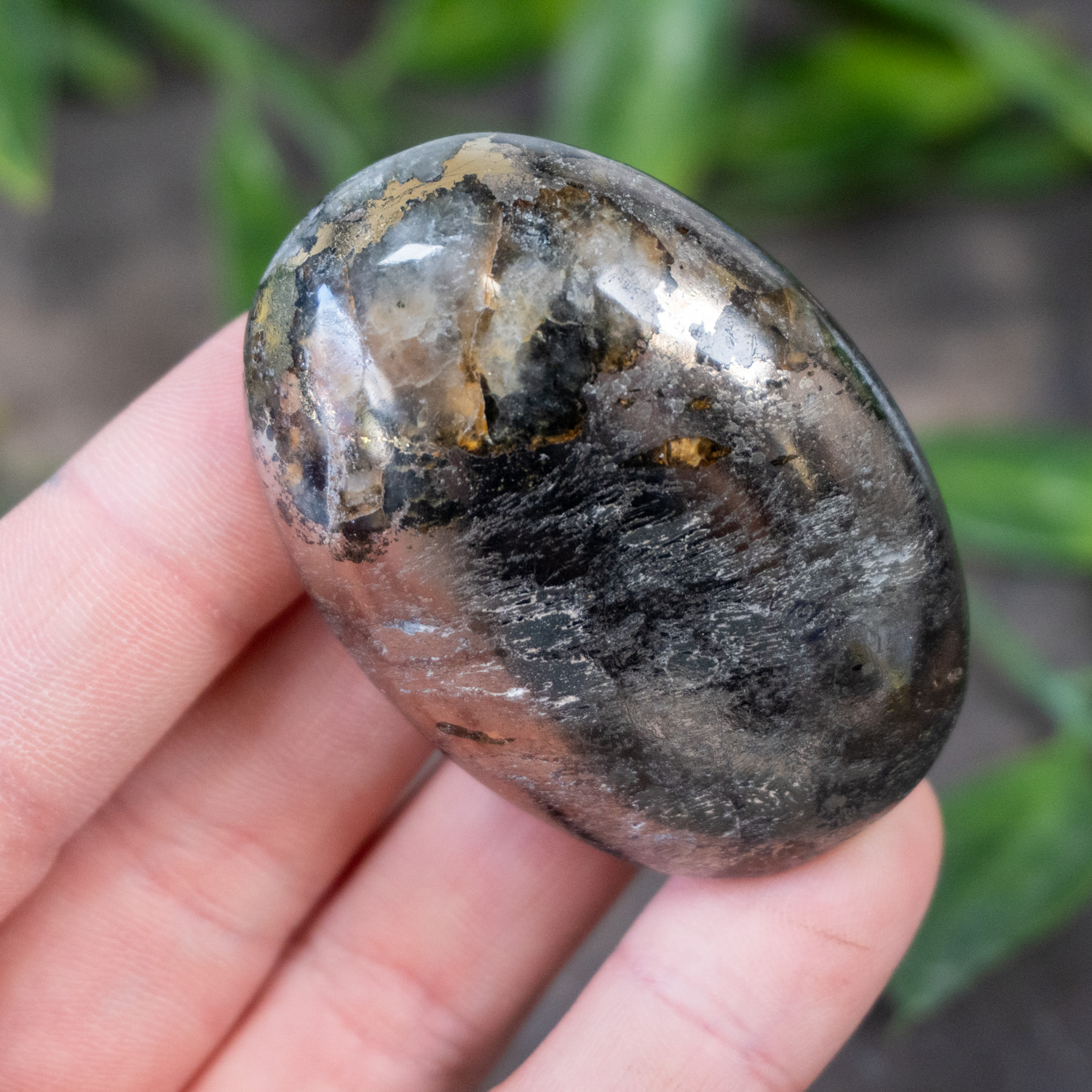 Lion's Gate Quartz Palmstone #10 - The Crystal Council