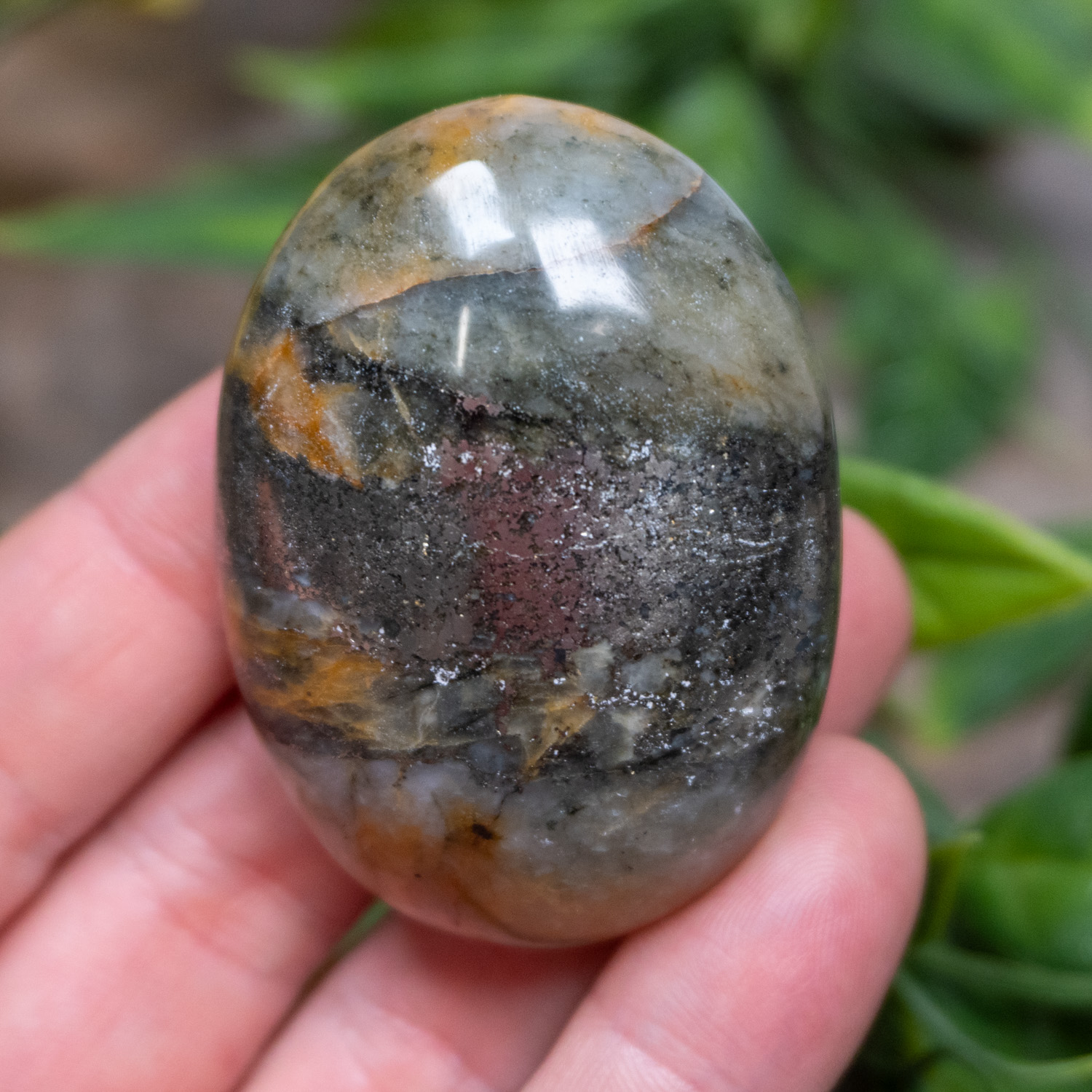 Lion's Gate Quartz Palmstone #18 - The Crystal Council