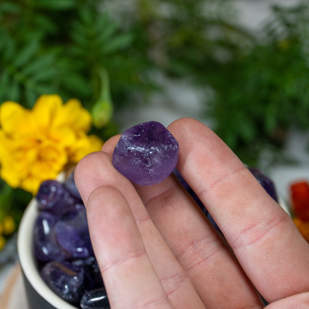 Small Tumbled Amethyst - The Crystal Council